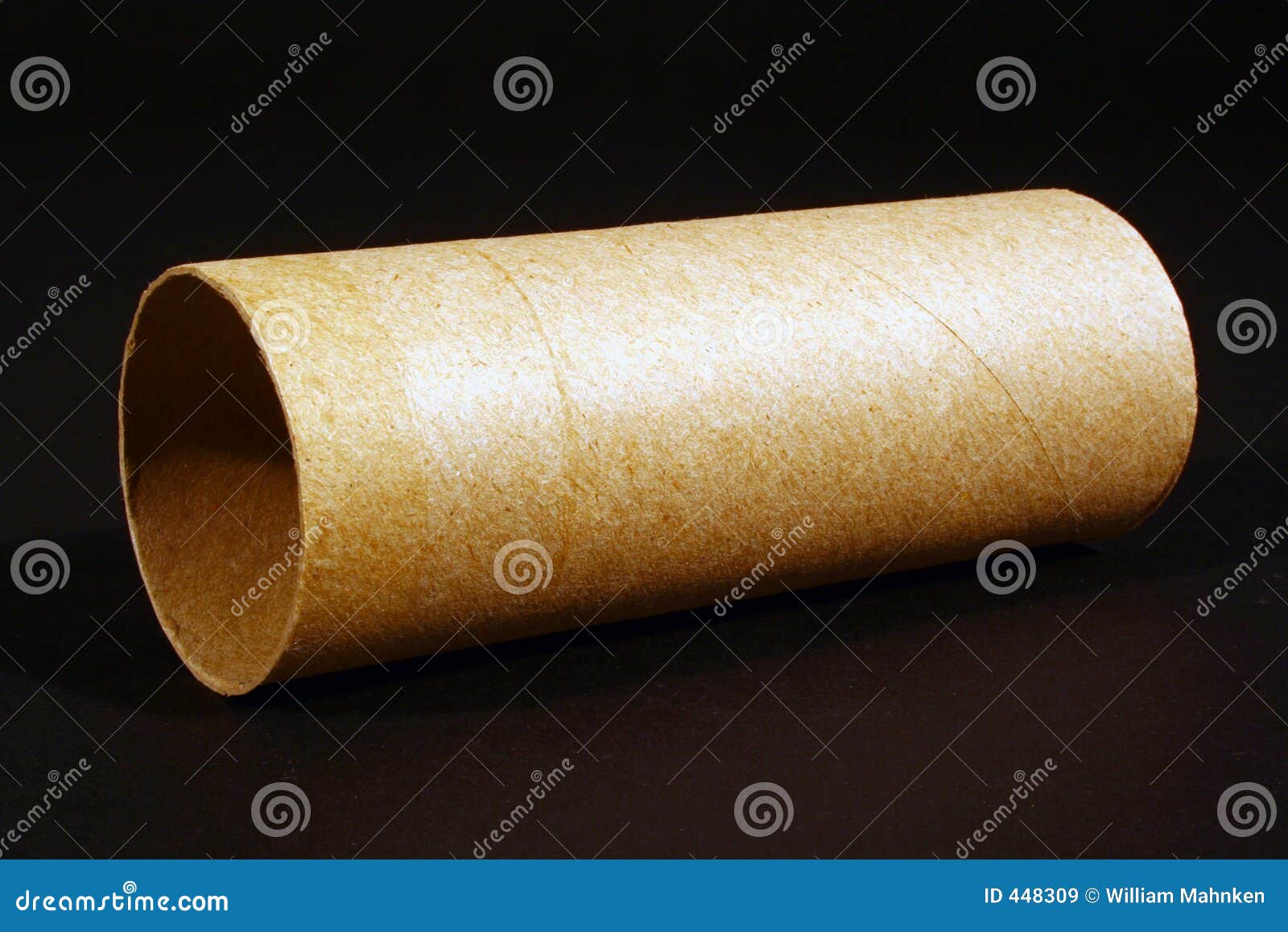 Empty Roll stock image. Image of tube, gone, bathroom, restroom - 448309