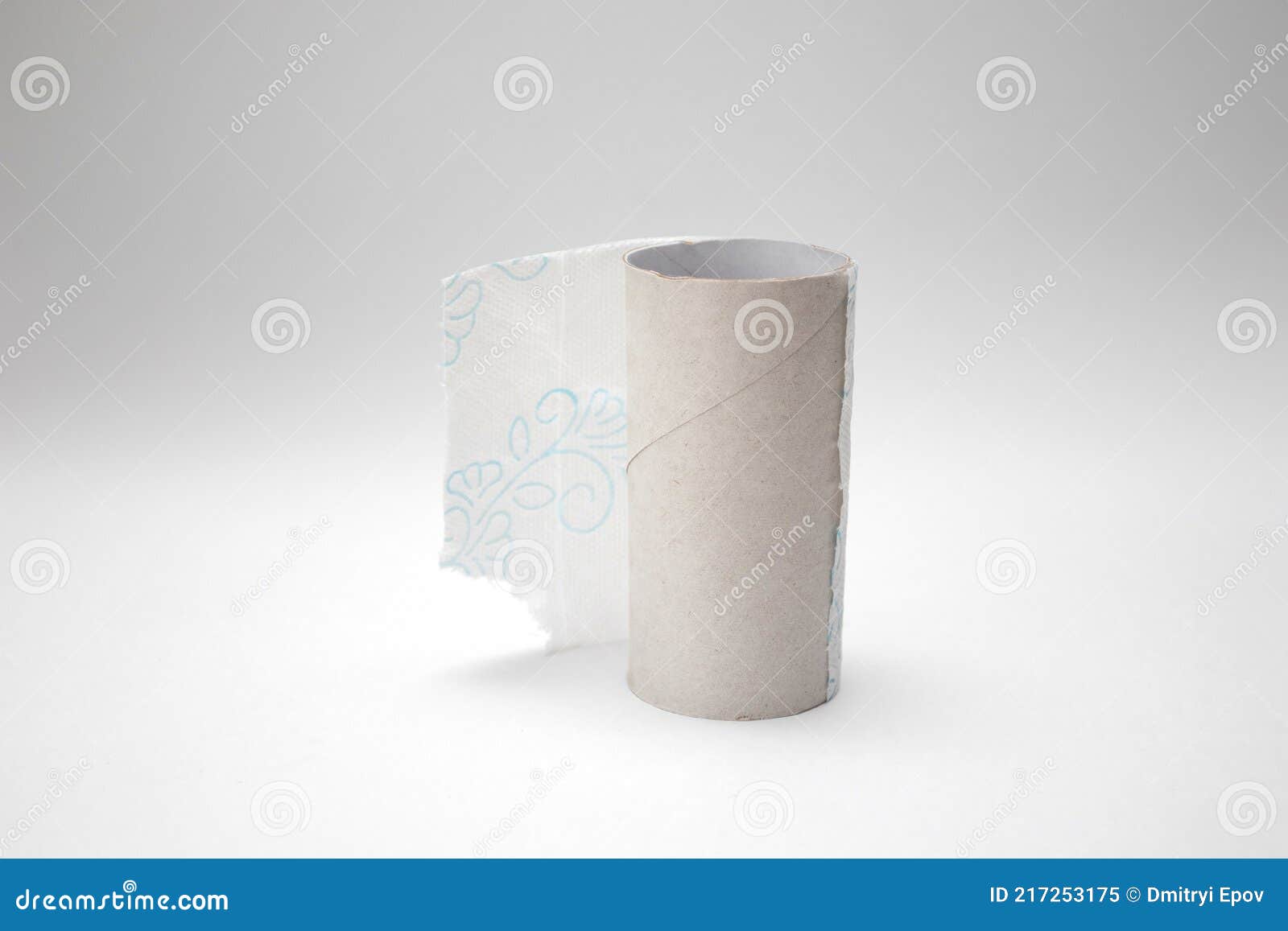 Empty roll of toilet paper stock image. Image of panic - 217253175