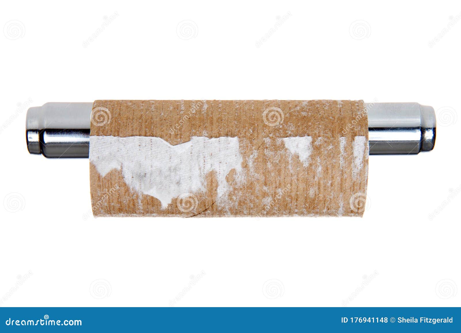 Empty Roll of Toilet Paper Hanging on Dispenser Stock Photo - Image of ...