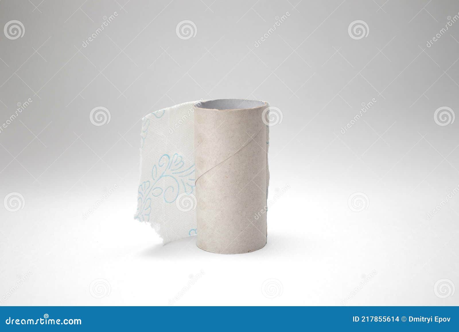 Empty Roll of Toilet Paper. Tissue Paper Roll Core. Stock Photo - Image ...
