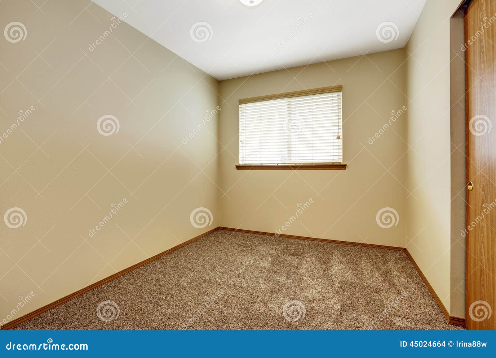 Empty Room with Brown Carpet Floor Stock Photo - Image of simple, real ...