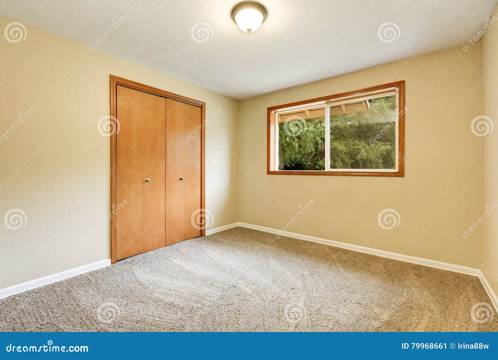 Empty Room with Built in Wardrobe and Carpet Floor Stock Image - Image ...