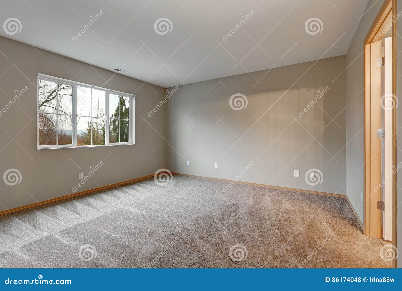 Empty Room Interior in Grey Tones with Carpet Flooring Stock Photo ...