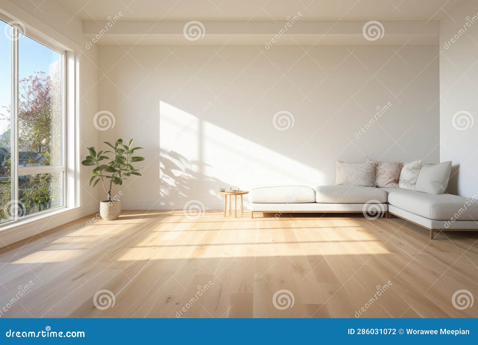 Empty Room and Wall and Wooden Floor with Interesting with Glare from ...