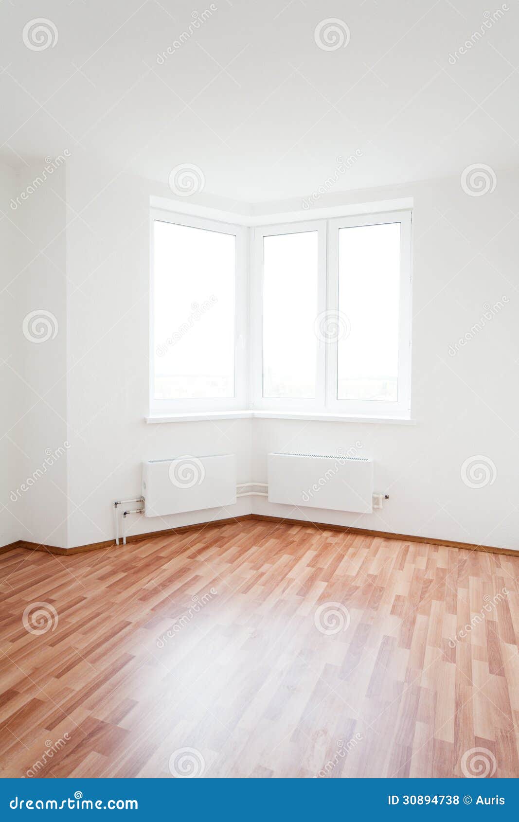 Empty room with window stock photo. Image of modern, empty - 30894738