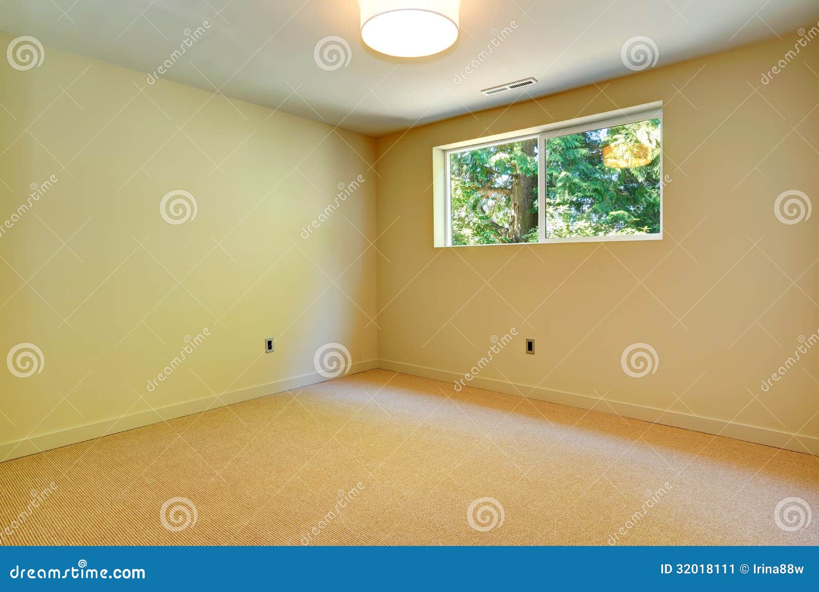 Empty Room With Yellow Walls And Carpet. Stock Image - Image: 32018111