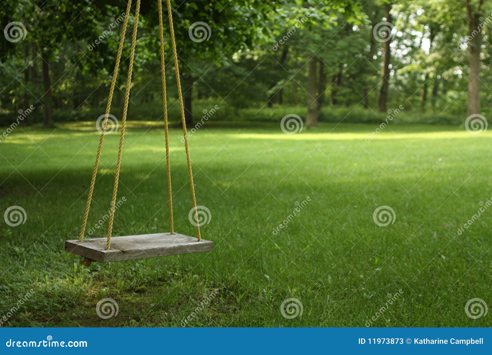 Empty Rope Swing stock image. Image of green, flying - 11973873