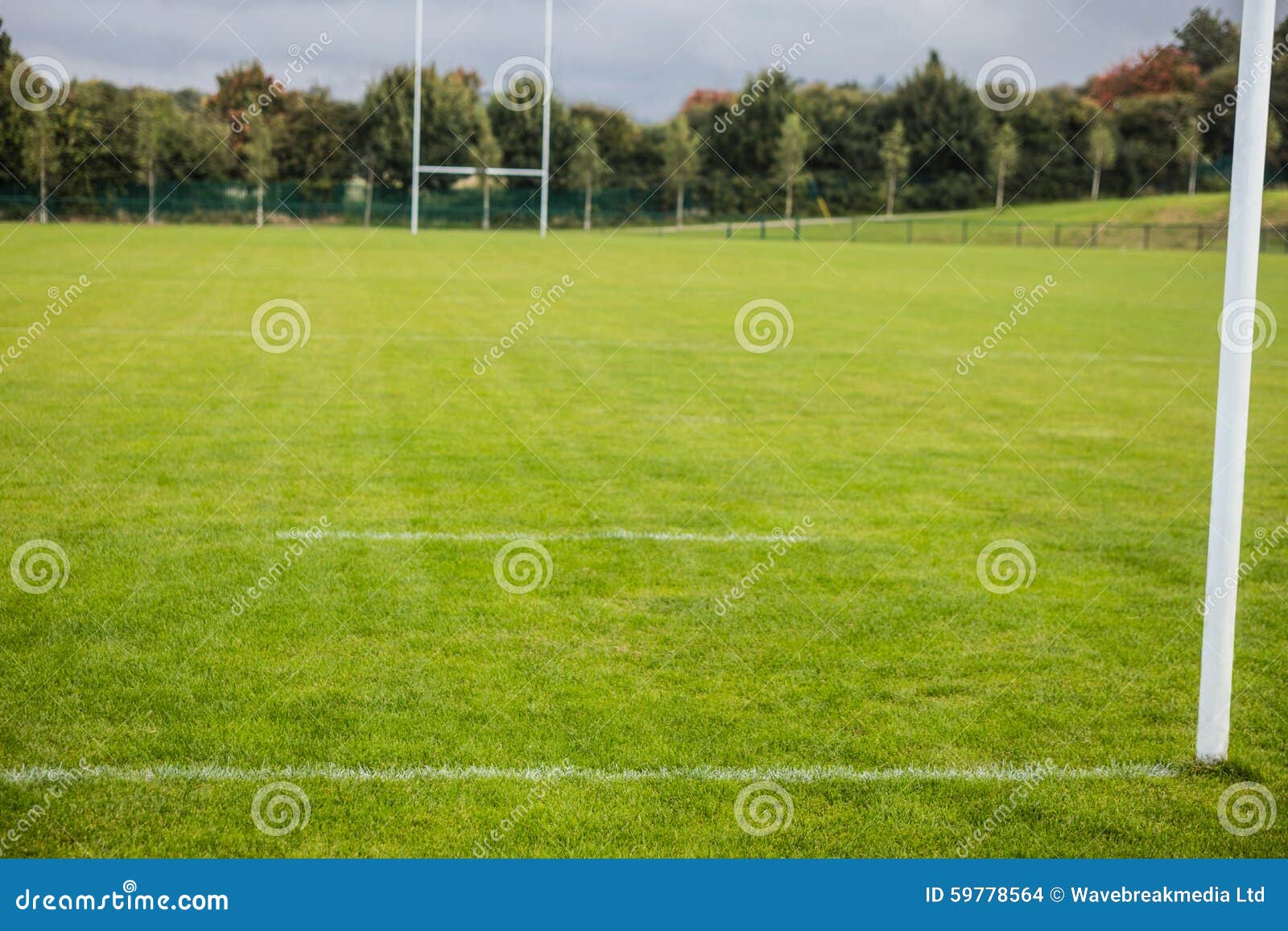 Empty rugby pitch stock photo. Image of event, outdoors - 59778564