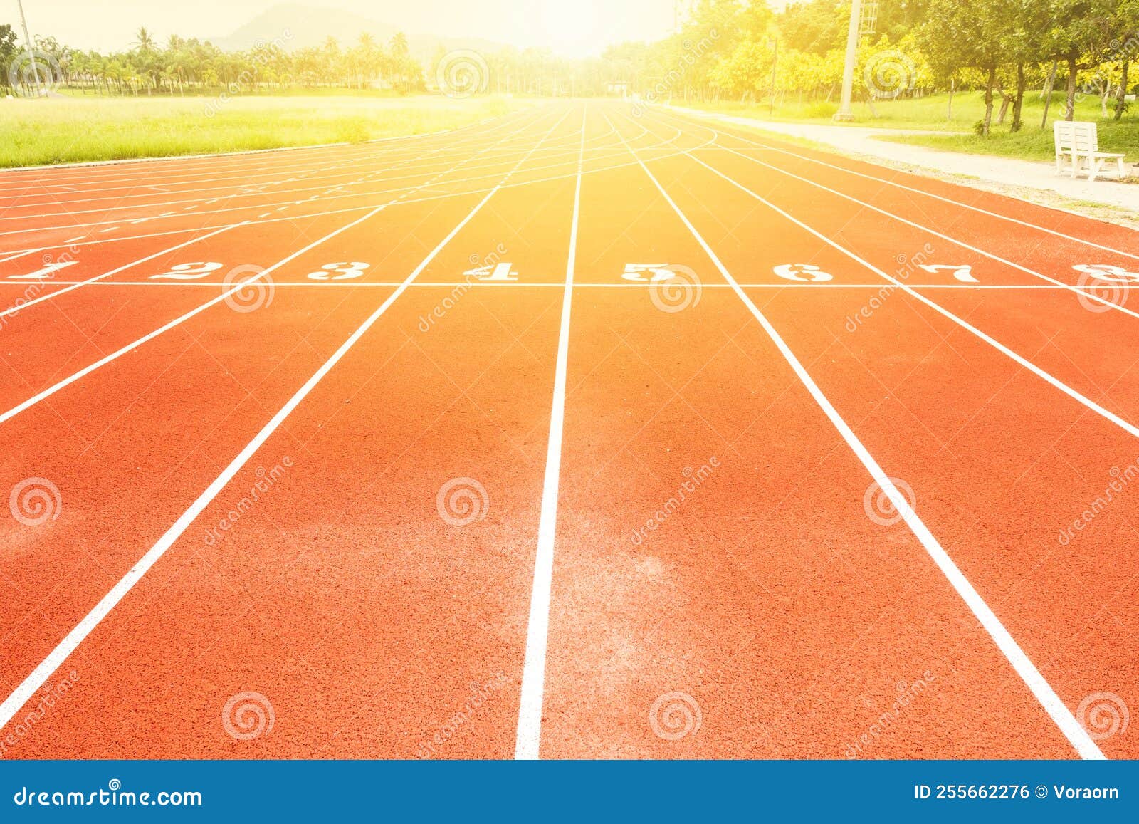 Empty running track stock photo. Image of athletic, pattern - 255662276