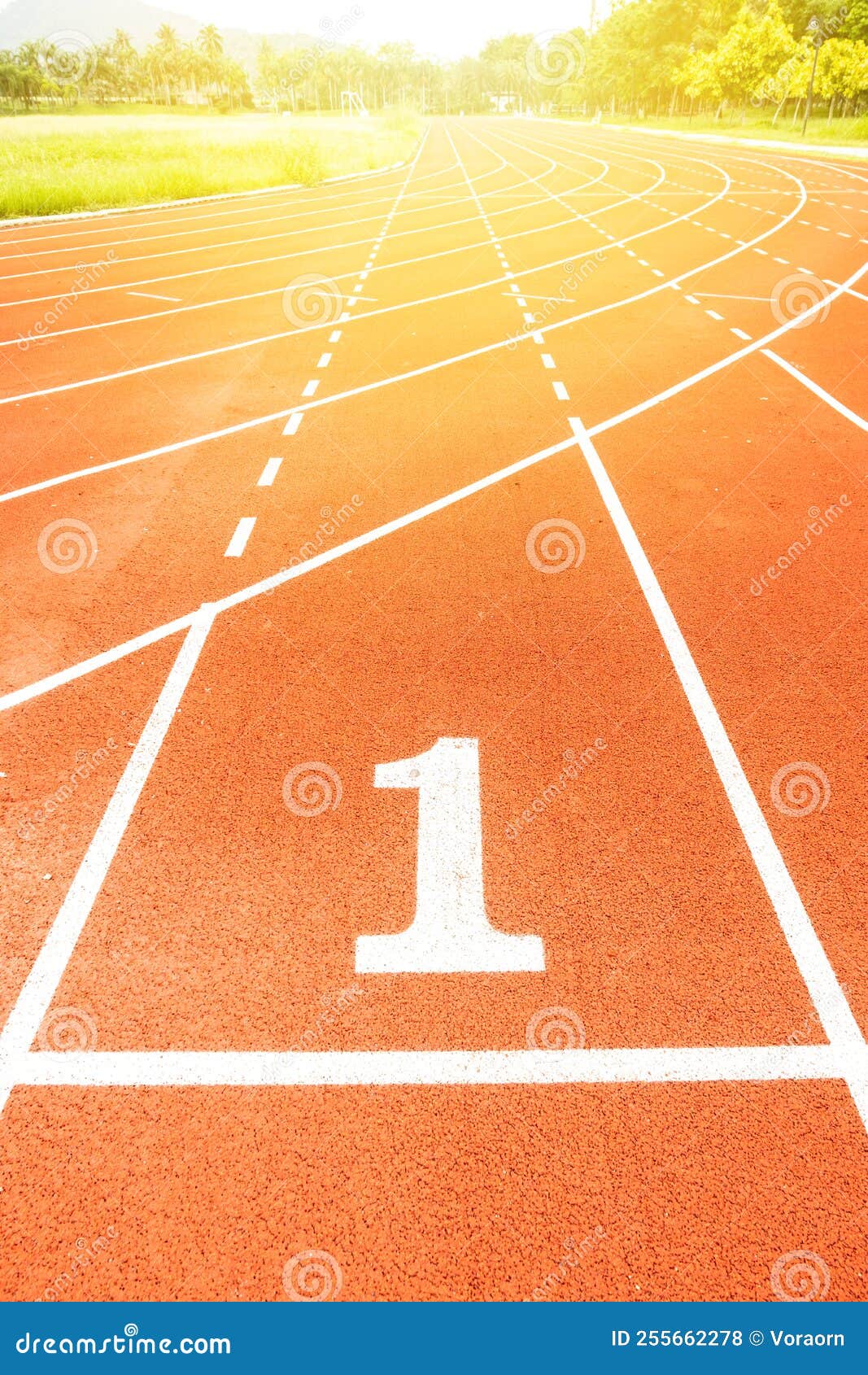 Empty running track stock photo. Image of pattern, lane - 255662278