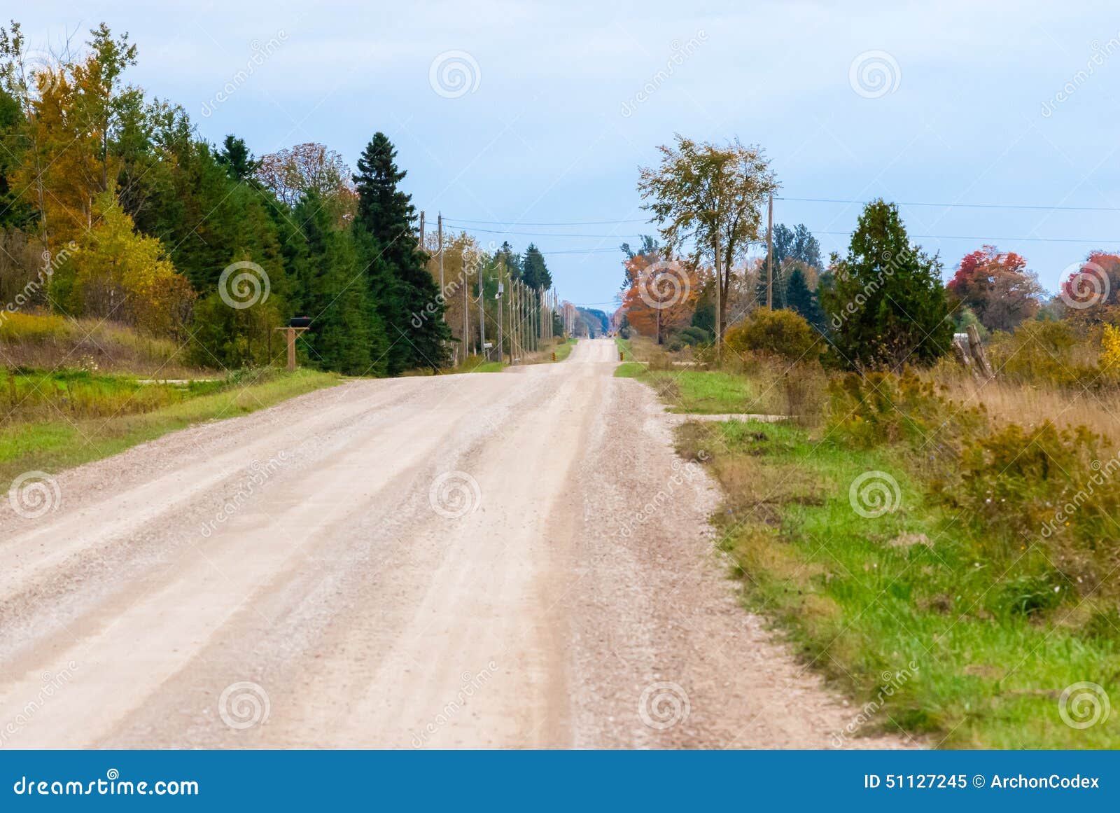 Empty Rural Country Dirt Road and Shrubs Stock Image - Image of ...