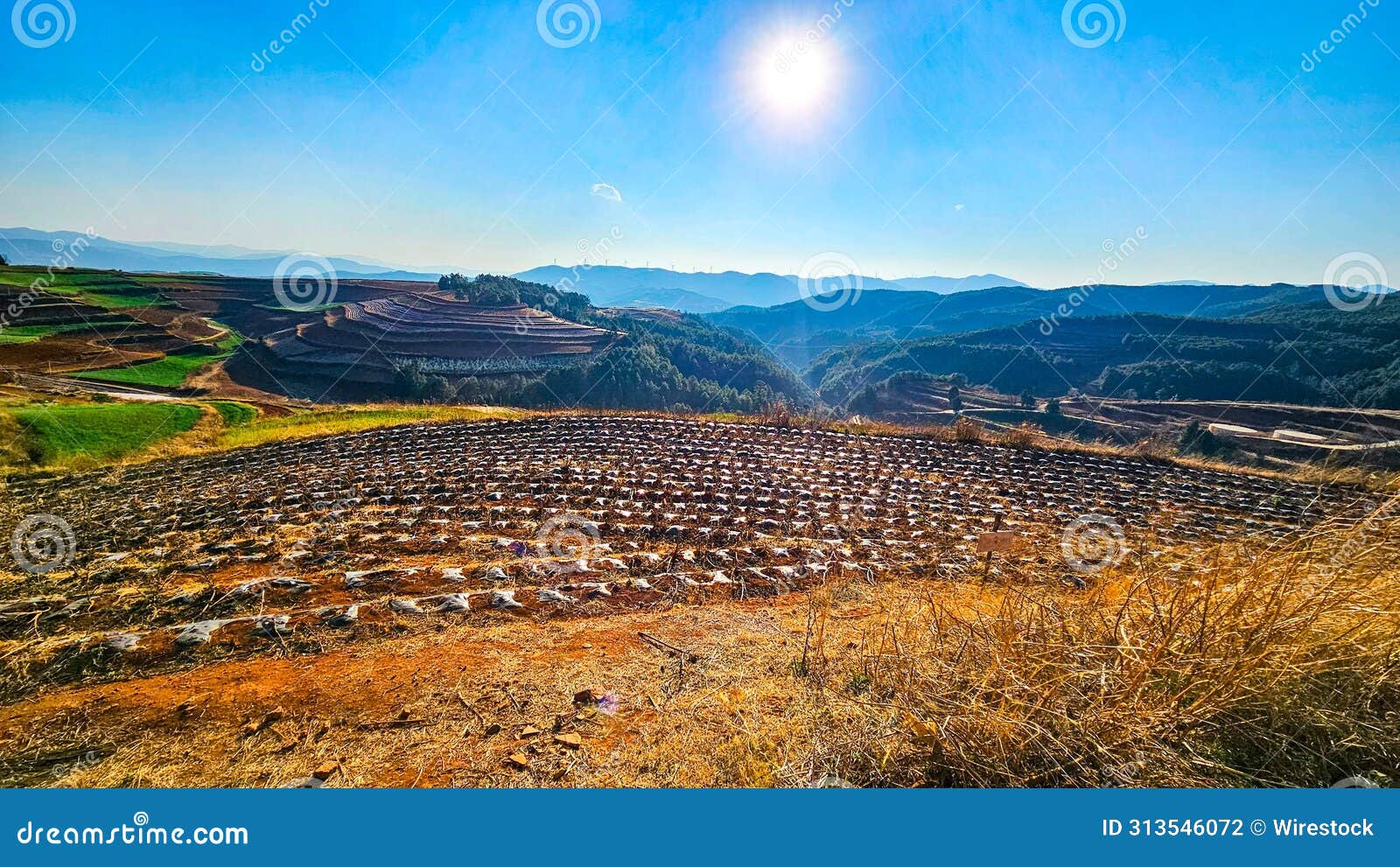 Empty Rural Field with Crop Rows and Rolling Hills in Yuepuao, Kunming ...