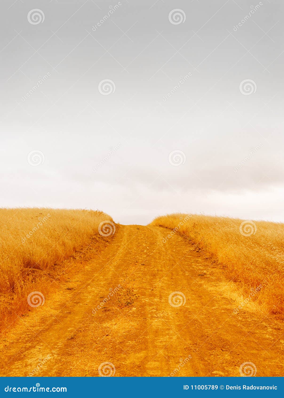 Empty Rural Road stock image. Image of grass, dried, dark - 11005789