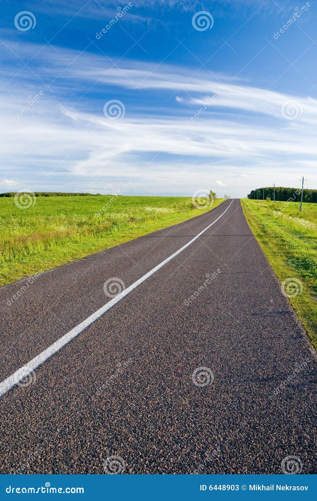 Empty rural road stock image. Image of green, peaceful - 6448903