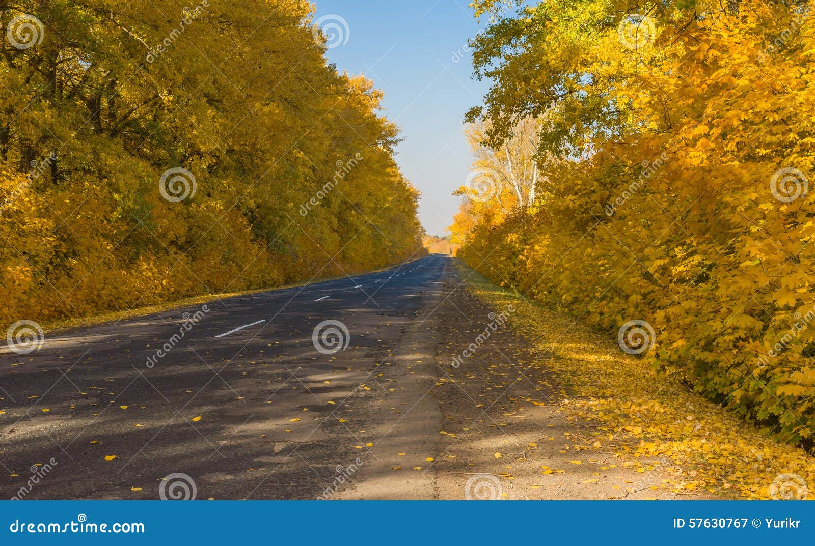 Empty Rural Road in Central Ukraine Stock Image - Image of seasonal ...