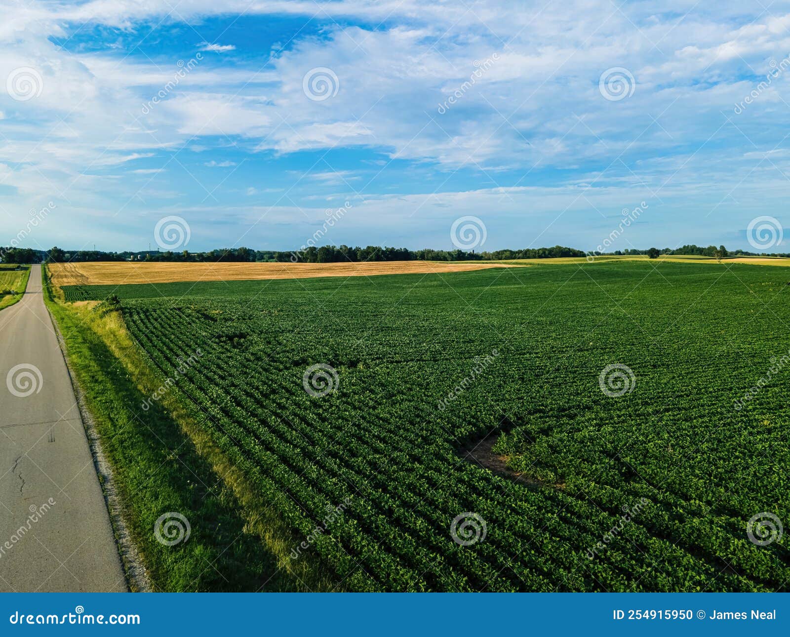 Empty Rural Road in Wisconsin Stock Photo - Image of sunny, nature ...