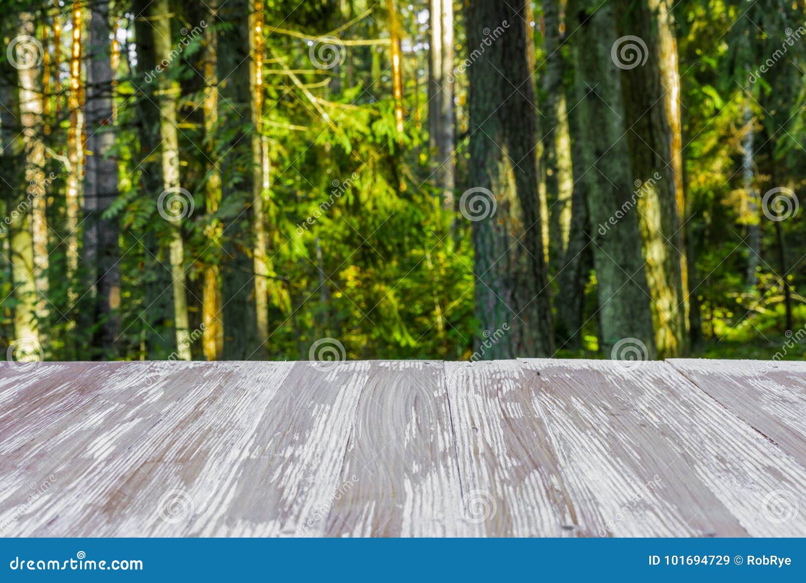 Empty Rustic Wood Table Top on Blurred Forest Background at Summer. Can ...
