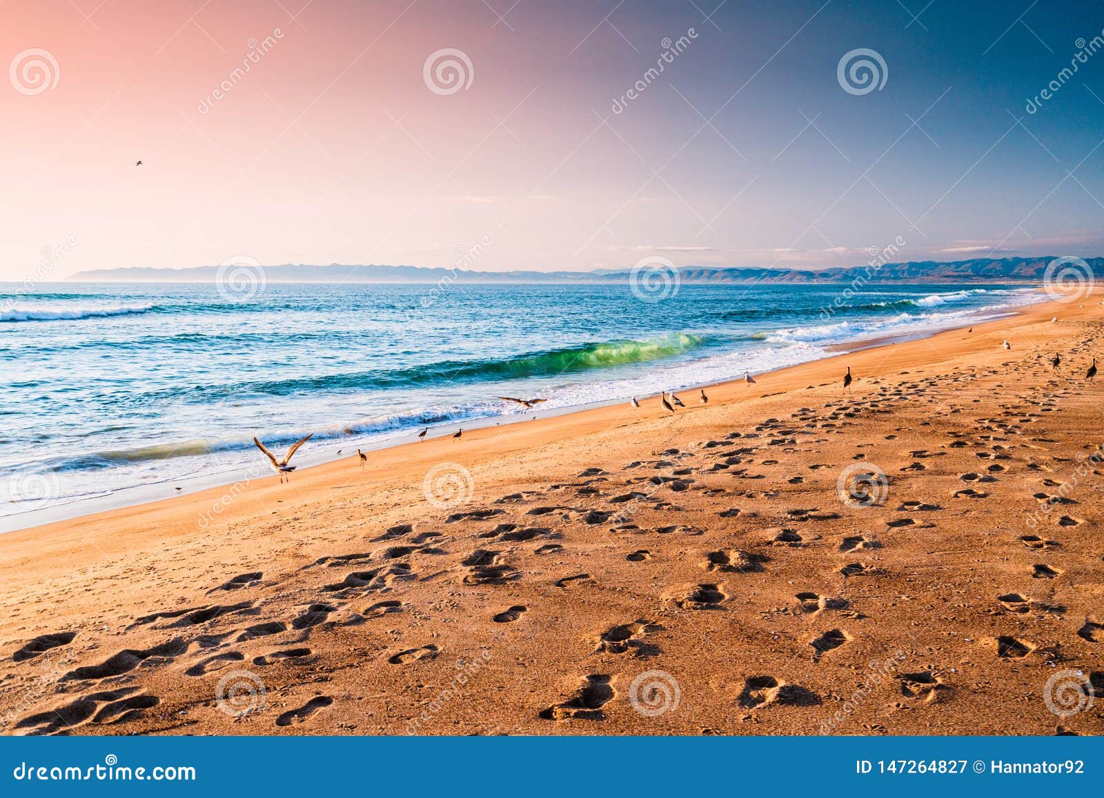 Empty Sand Beach during Sunset Stock Image - Image of orange, birds ...