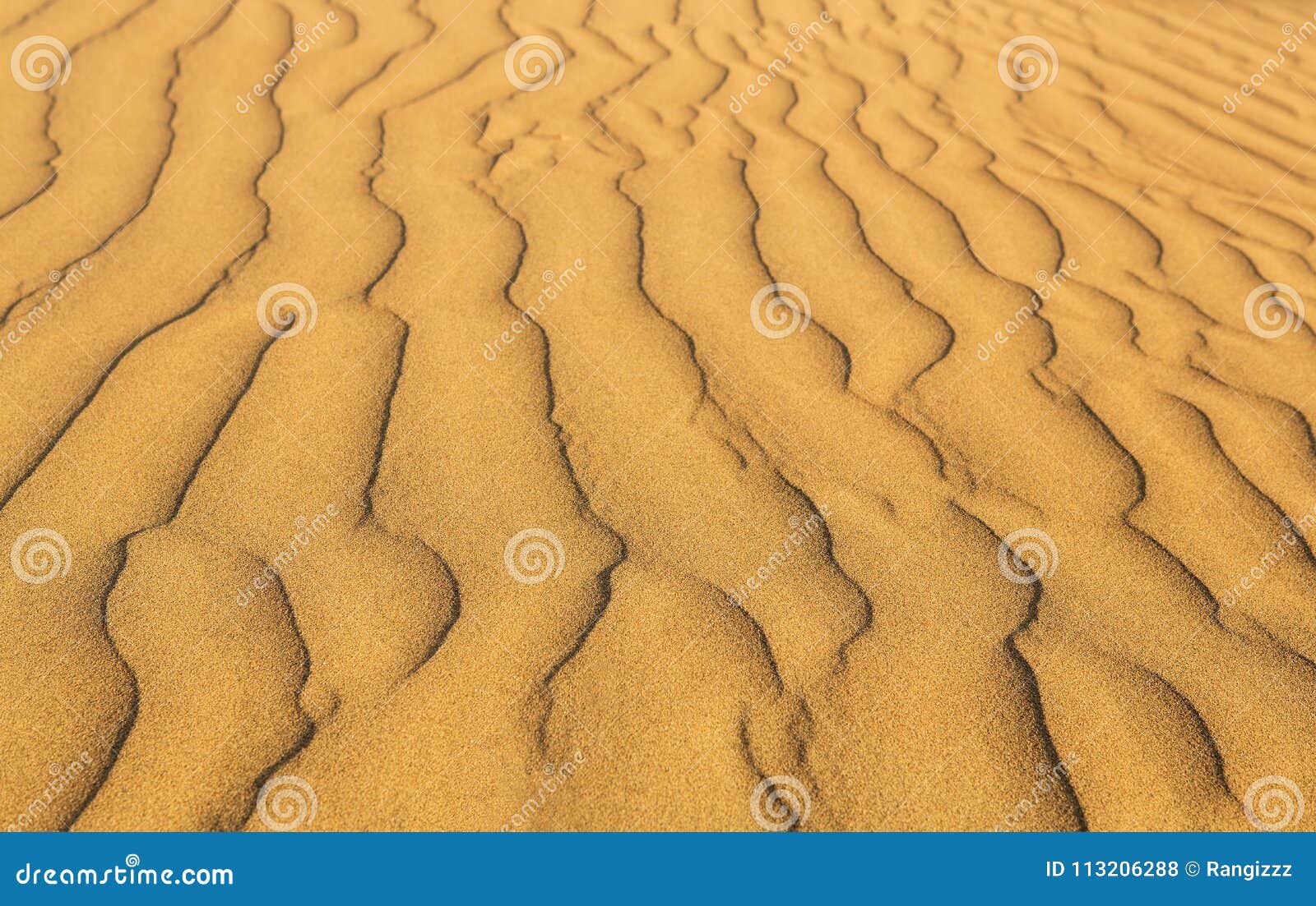 Empty sand dunes texture stock photo. Image of beach - 113206288