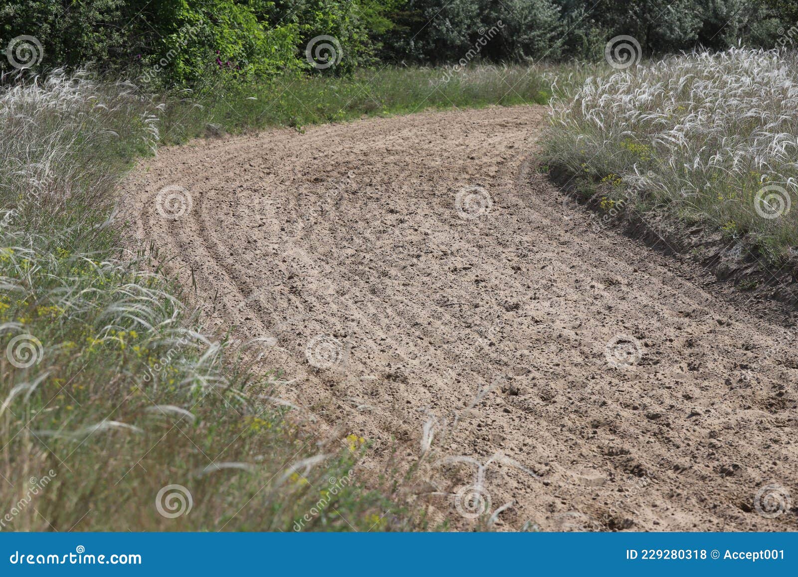 Empty Sandy Gallop Track is a Good Addition Stock Photo - Image of ...