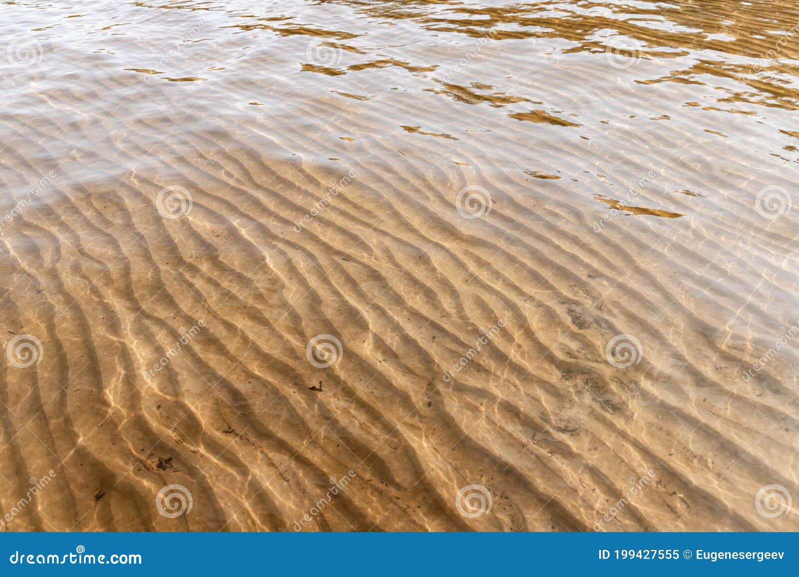 Empty Sandy Seabed is Under Shallow Water Stock Image - Image of ...