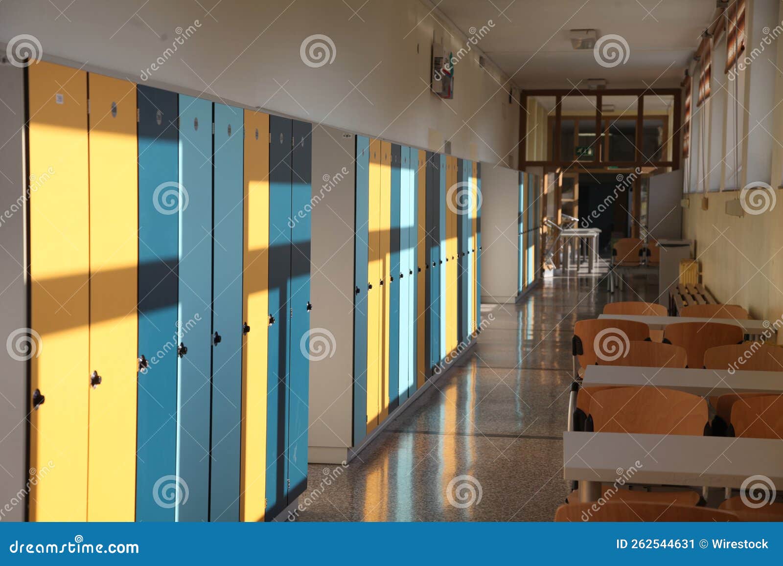Empty School Corridor with Shelves Stock Image - Image of pandemic ...
