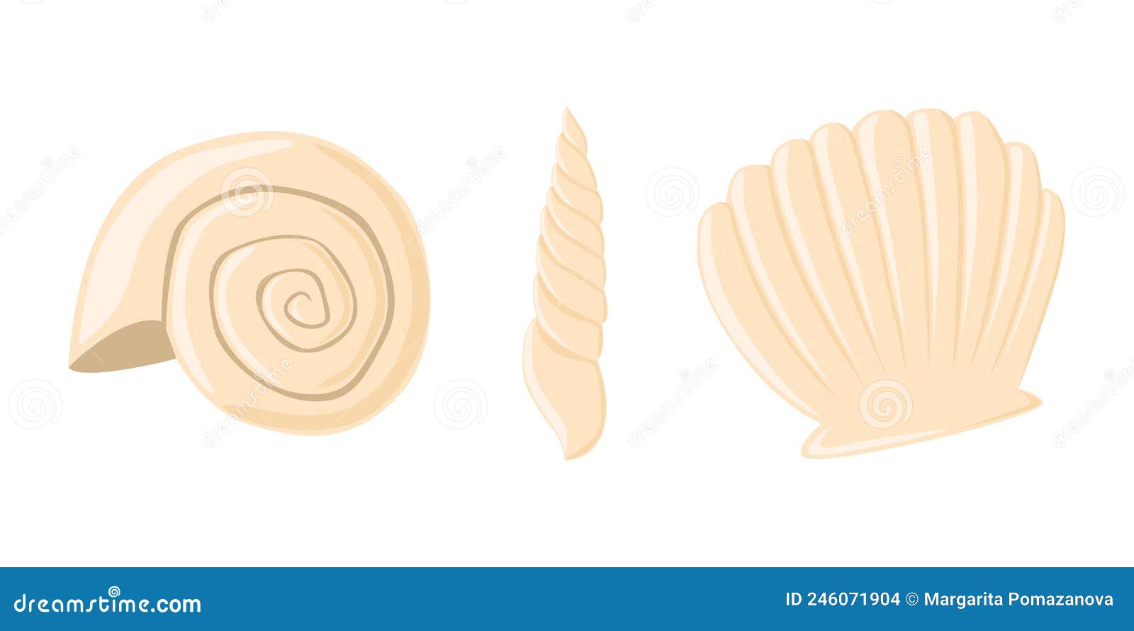 Empty Seashell Flat Vector Isolated Illustration Collection Stock ...