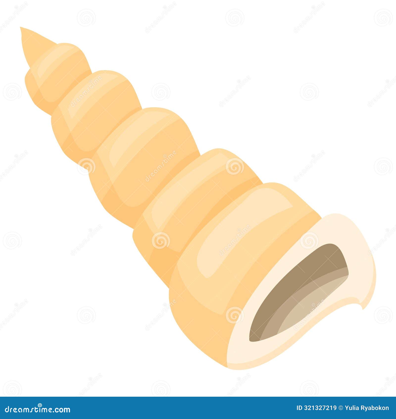 Empty Seashell with Spiral Shape Isolated on White Background Stock ...