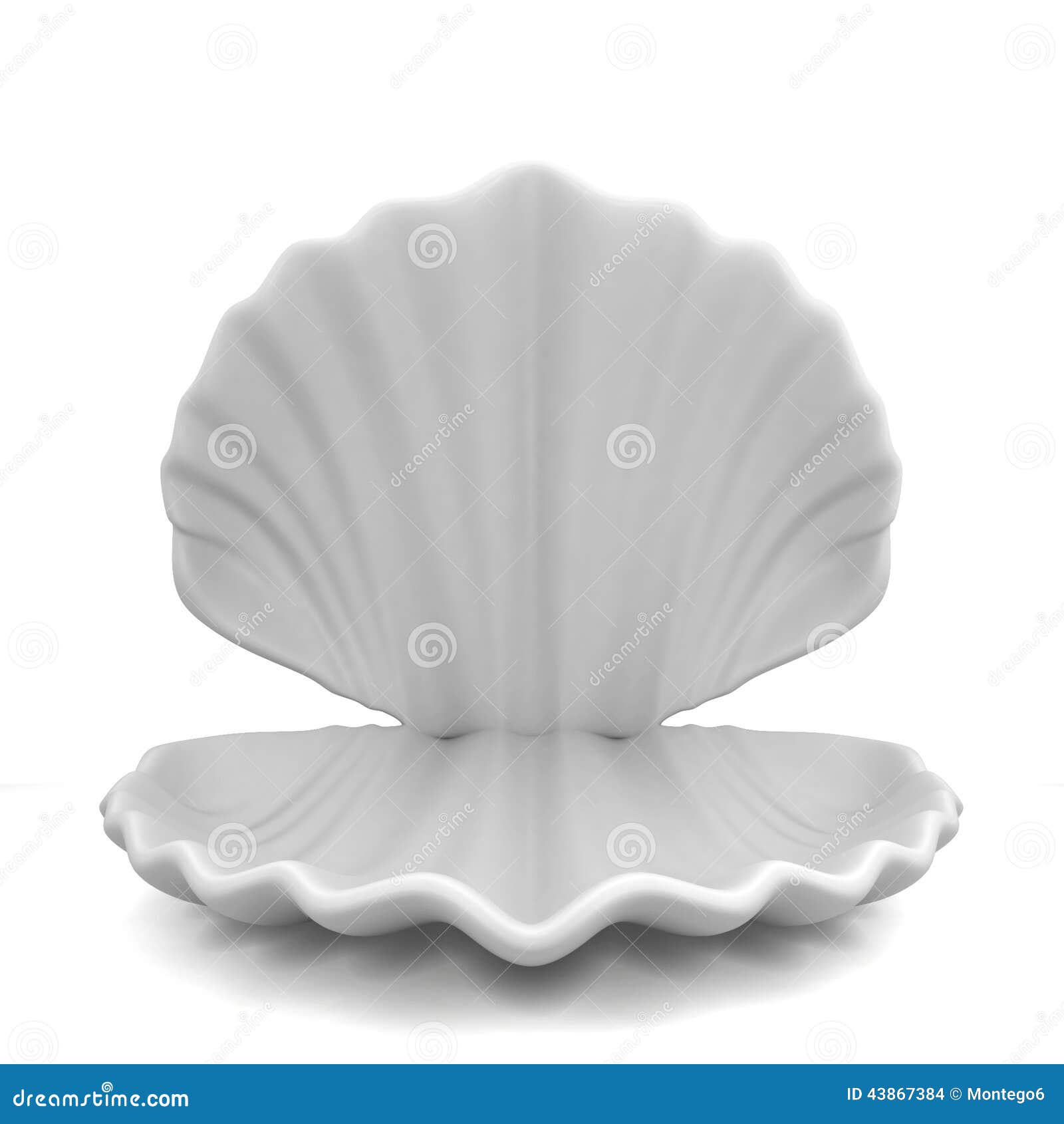 Empty shell stock illustration. Illustration of mollusk - 43867384
