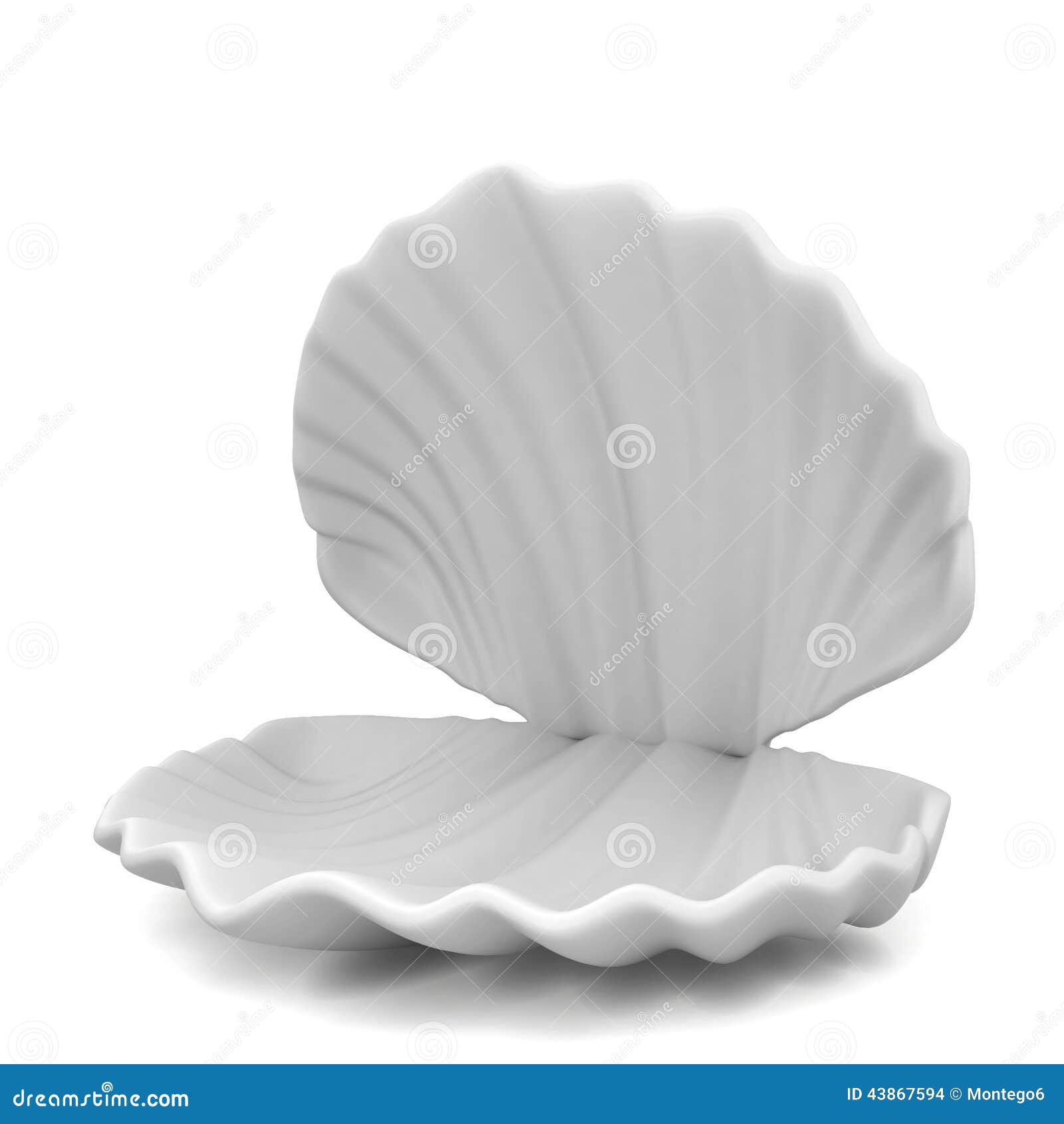 Empty shell stock illustration. Illustration of perl - 43867594