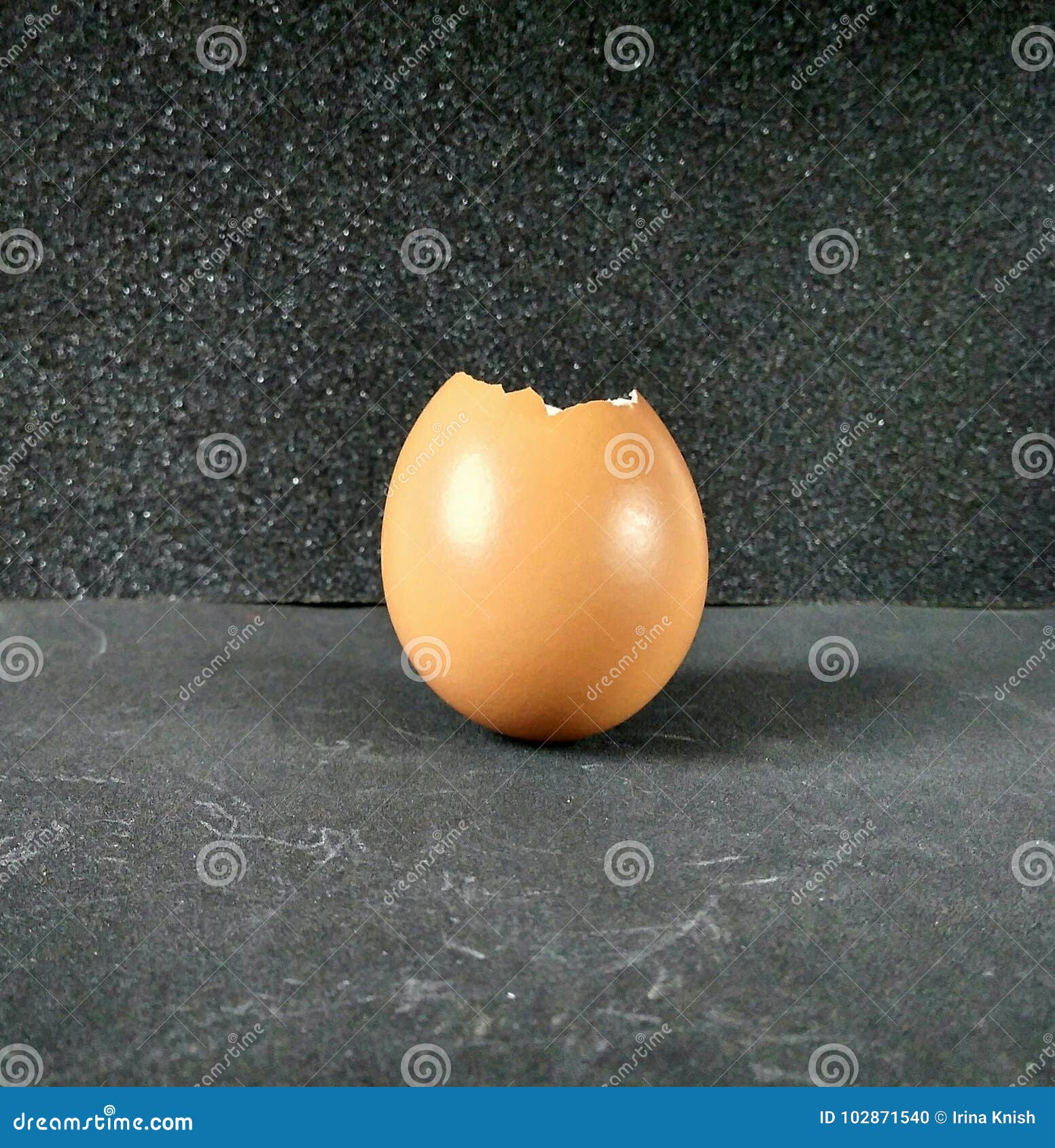 Eggshell of eggs stock photo. Image of closeup, eggs - 102871540