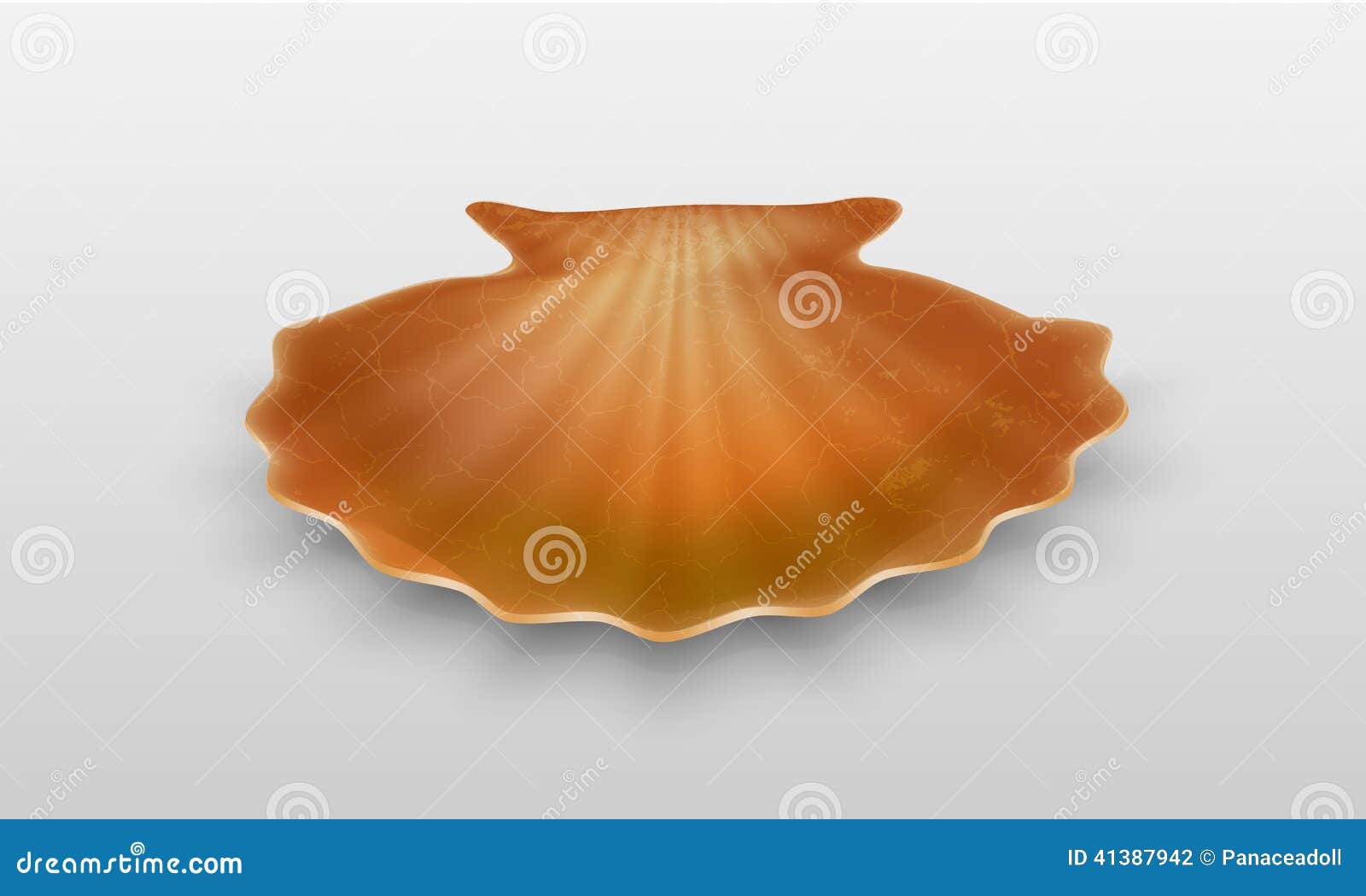 Empty shell stock vector. Illustration of element, pink - 41387942