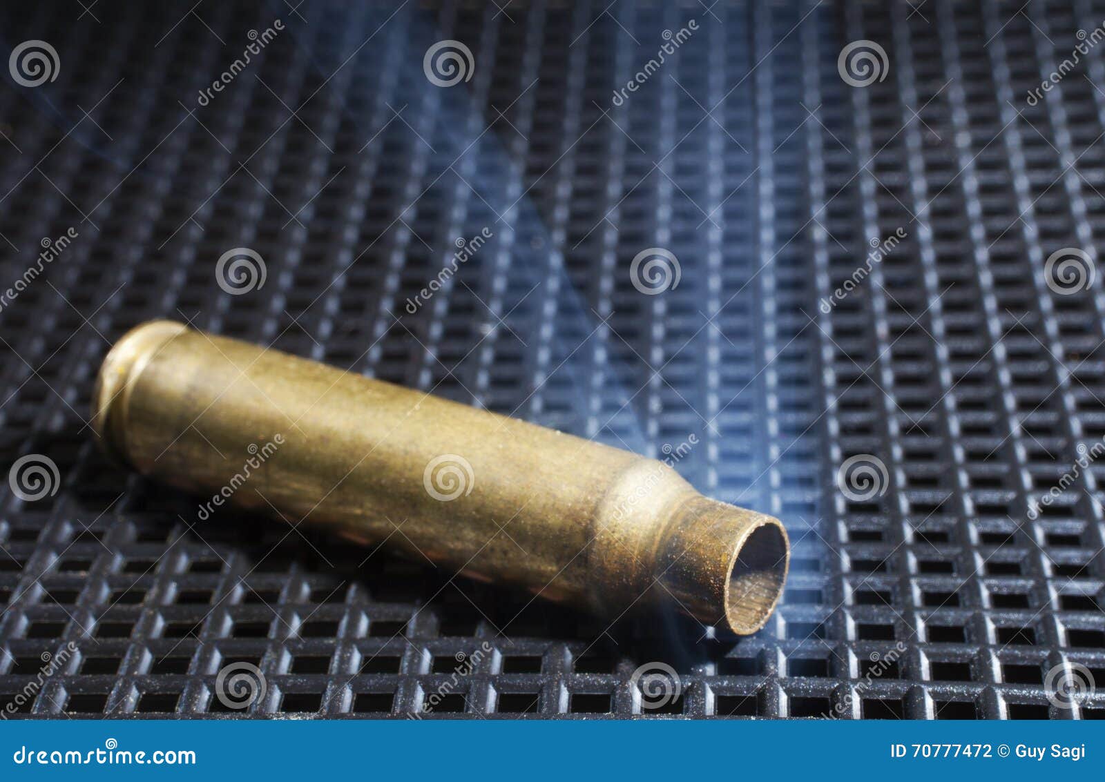 Empty shell stock photo. Image of white, round, bronze - 70777472