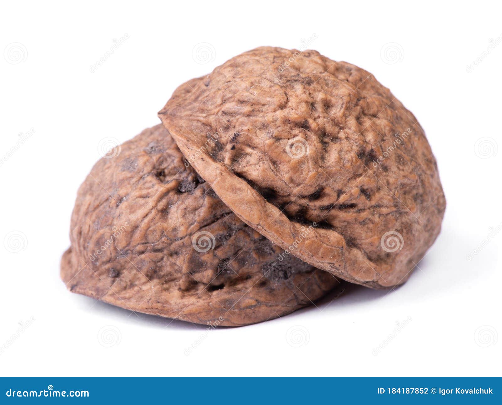 Empty shell of walnut stock photo. Image of object, natural - 184187852