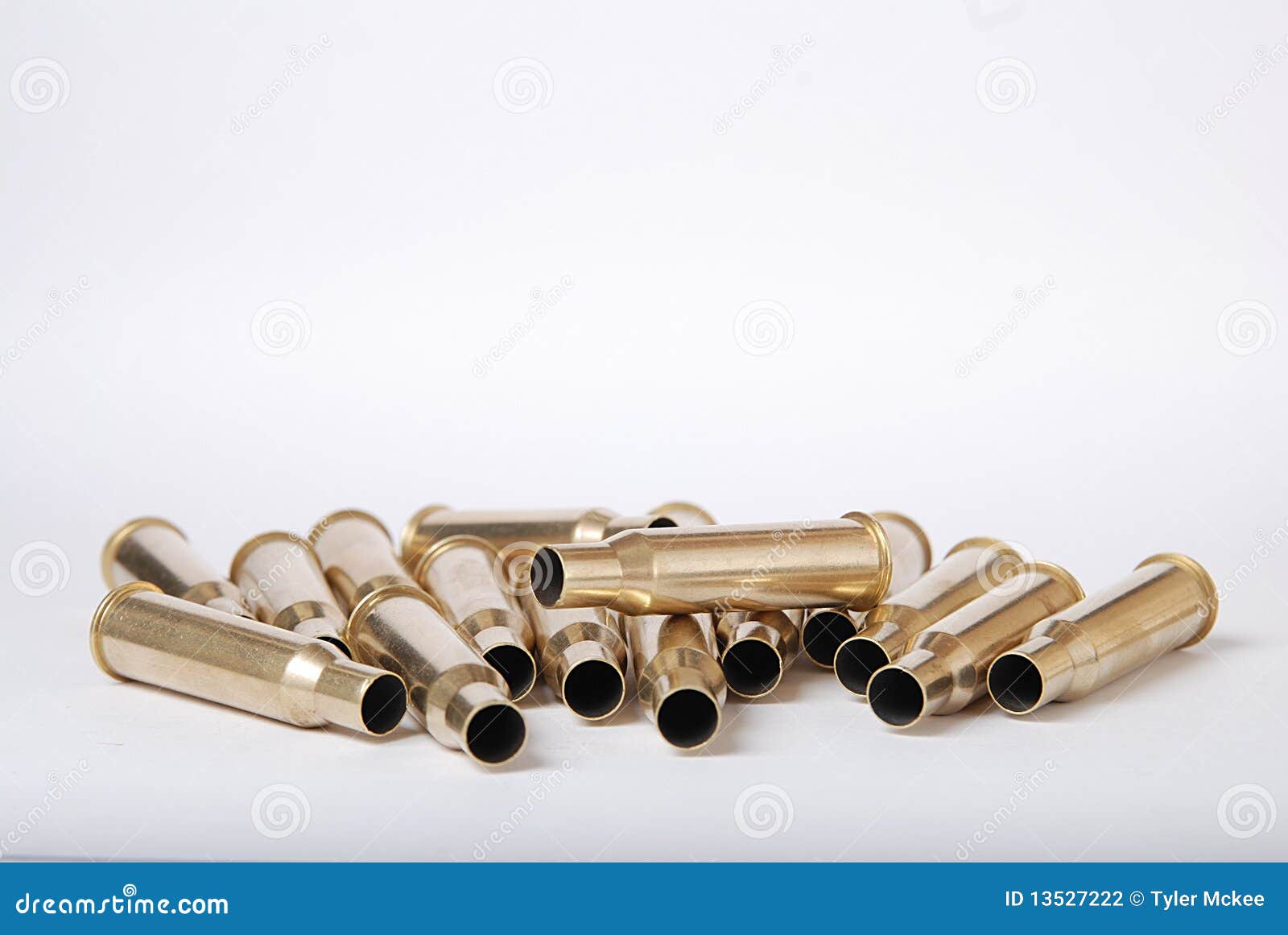 Empty Shells stock photo. Image of background, heap, shell - 13527222