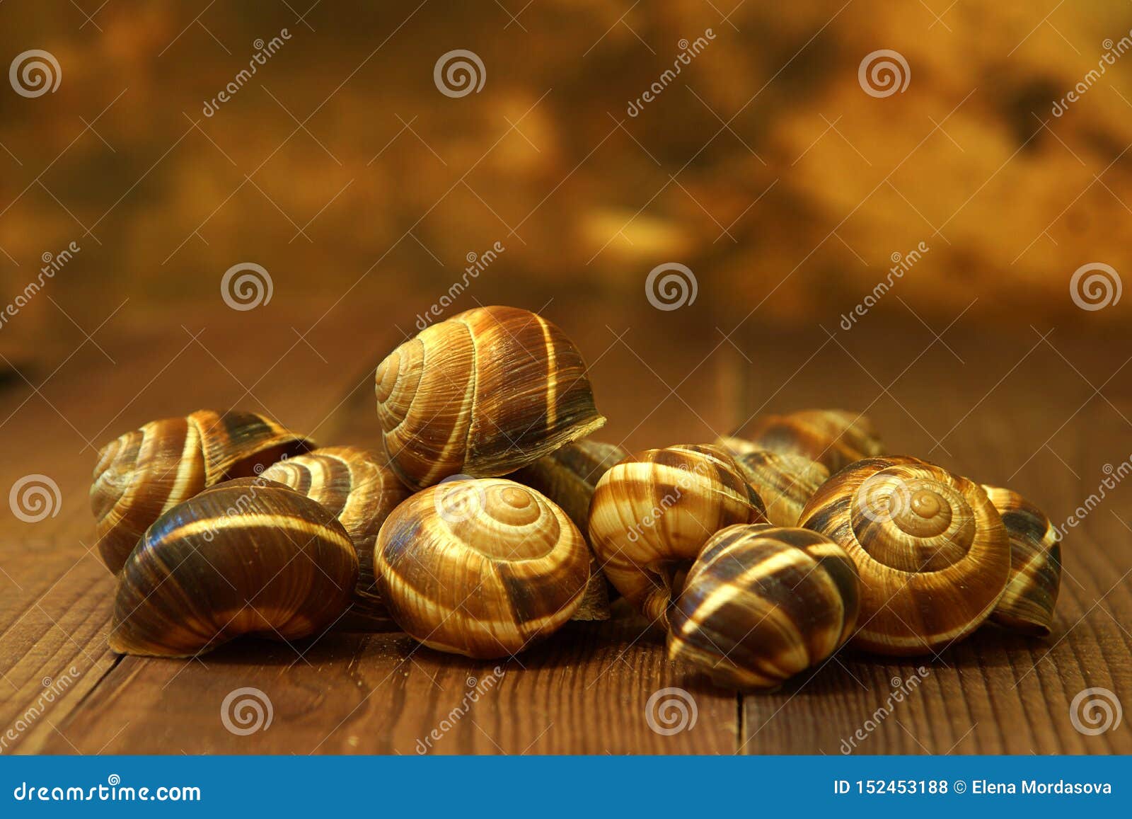 Empty Shells from Edible Snails Lie on the Board on a Brown Background ...