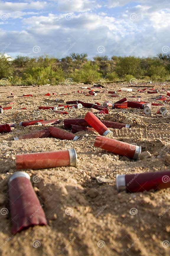 Empty shot gun shells stock photo. Image of environmental - 11110914