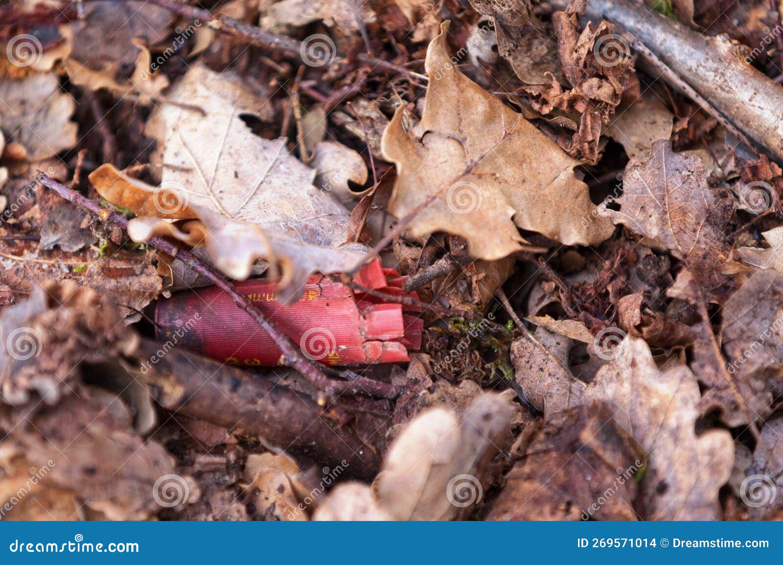Wood Pollution - Empty Shotgun Shell Stock Photo - Image of hunting ...