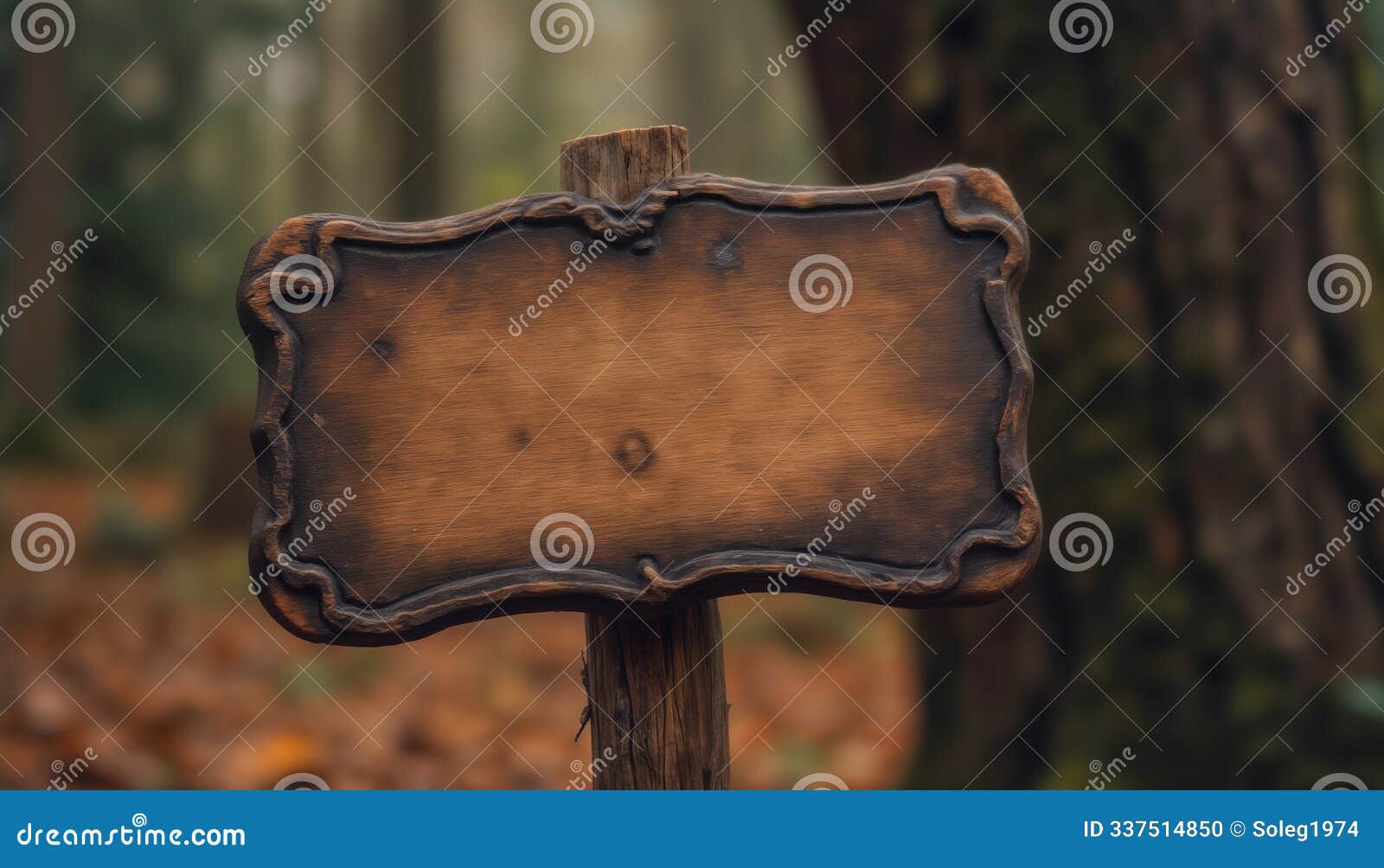 An Empty Sign Board on the Background of a Forest, Made of Wood, Old ...