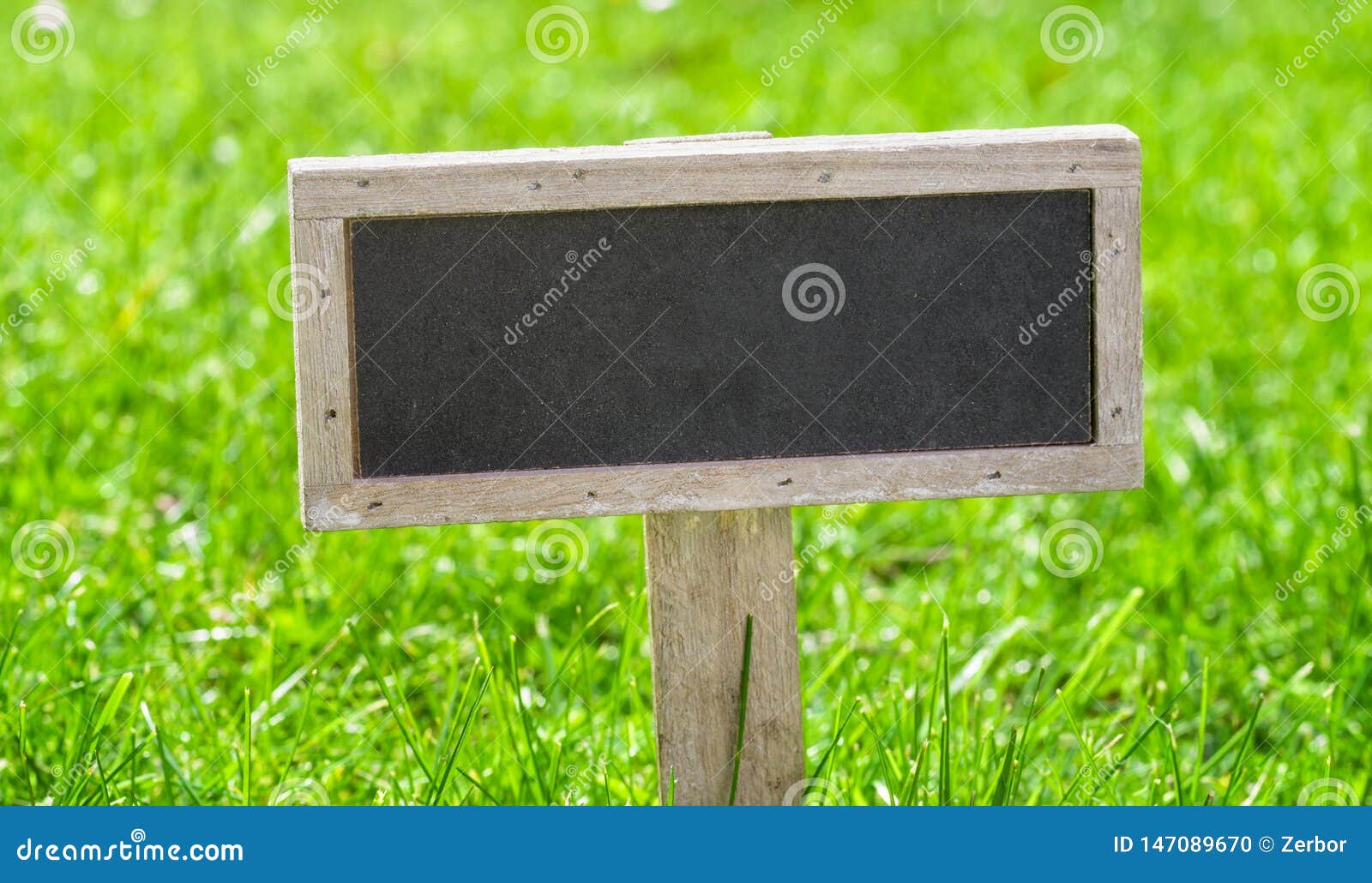 Empty sign on a green lawn stock photo. Image of mower - 147089670