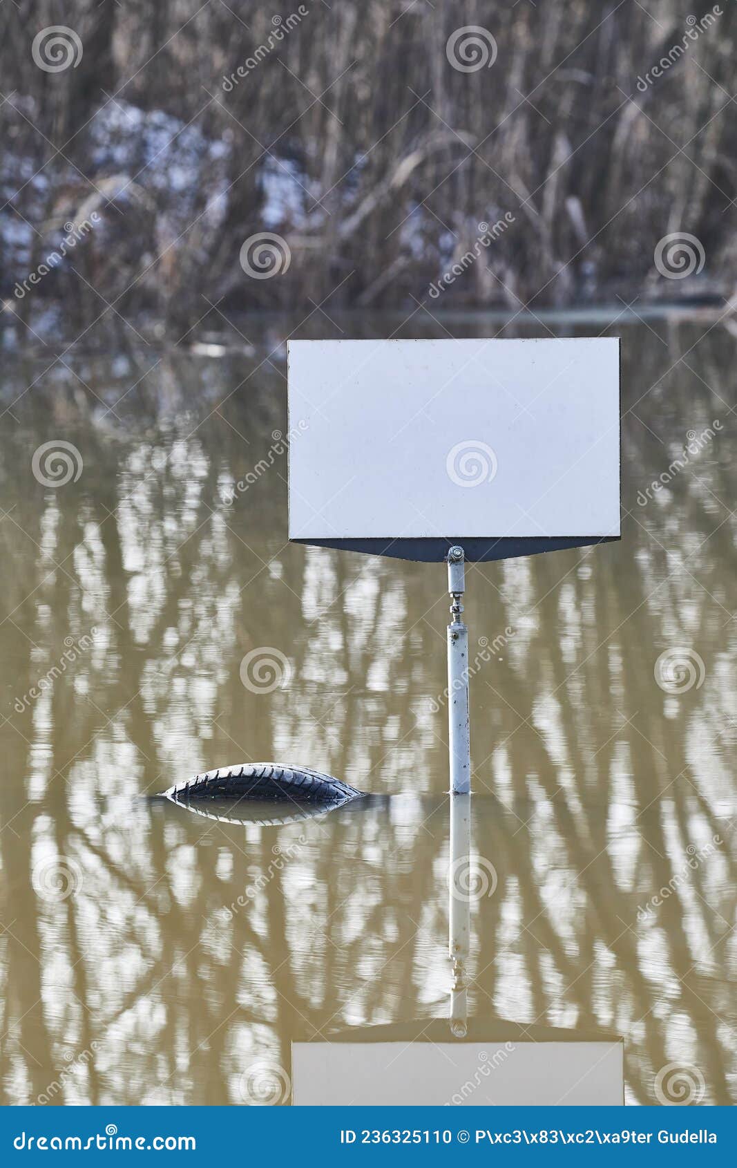 Empty sign on a land stock photo. Image of nature, flood - 236325110