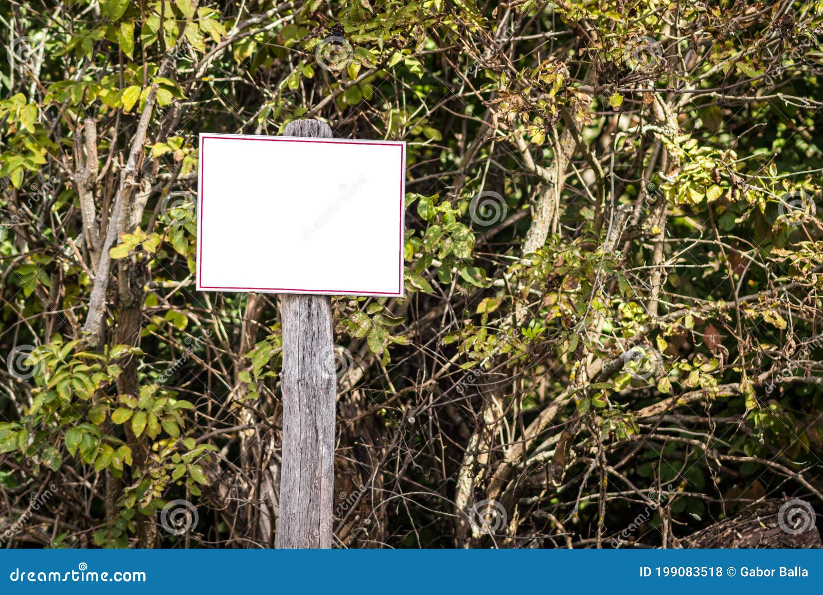 An empty sign post stock photo. Image of copy, frame - 199083518