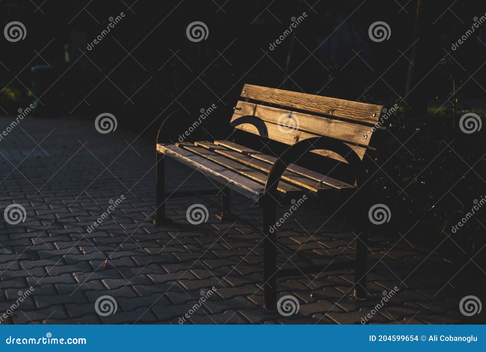 Empty and a Single Bench at Sunset Stock Photo - Image of relax ...