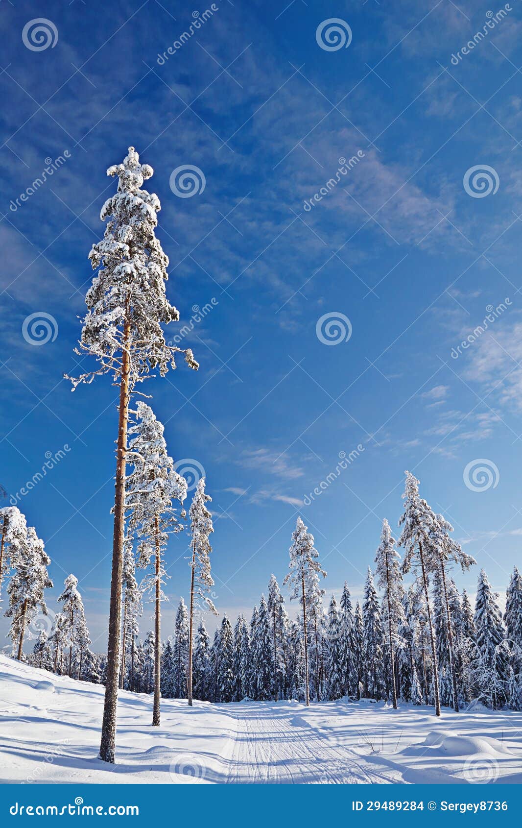 Empty Snow Covered Road in Winter Landscape Stock Photo - Image of line ...
