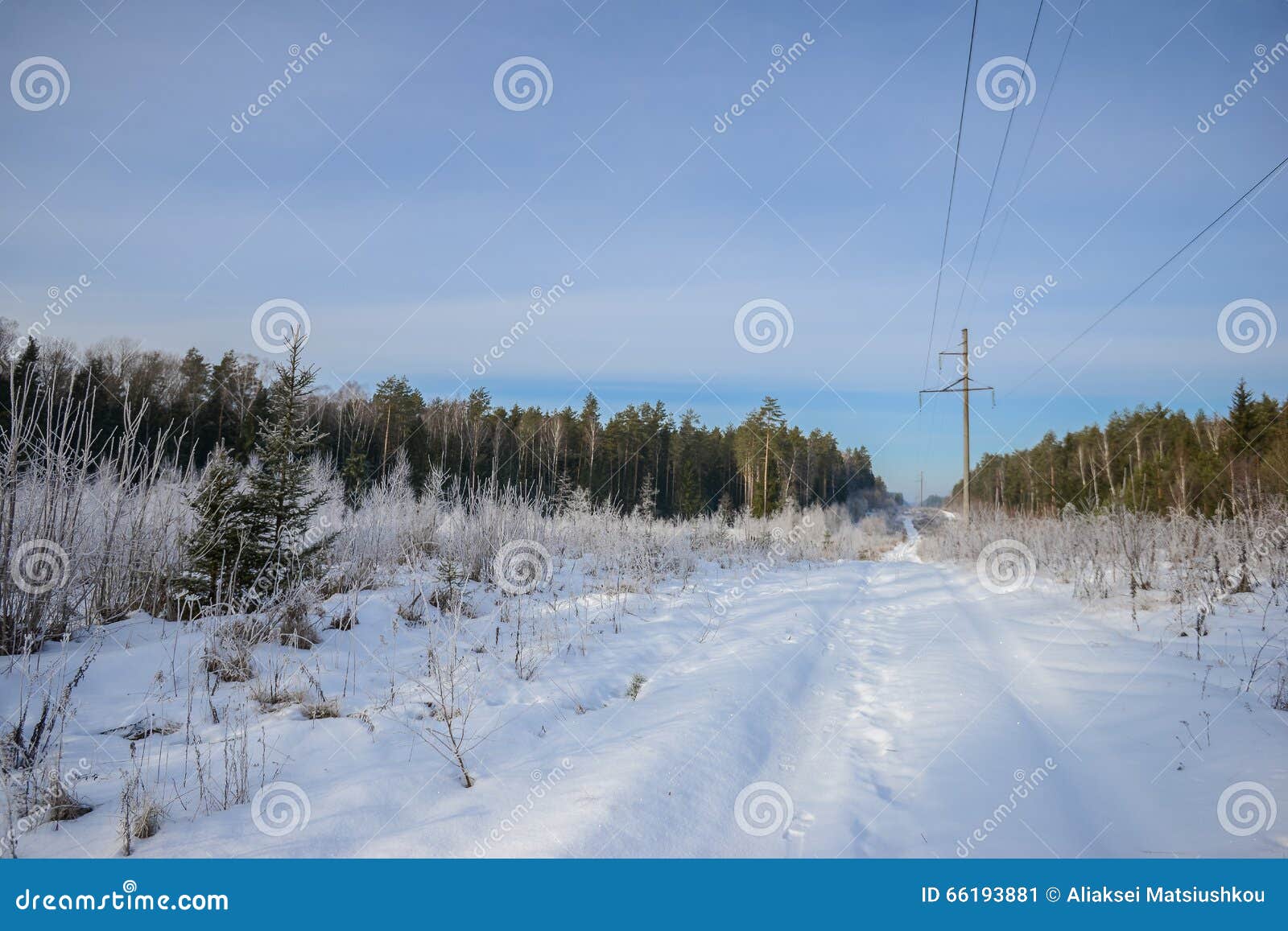 Empty Snow Covered Road in Winter Landscape Stock Image - Image of ...
