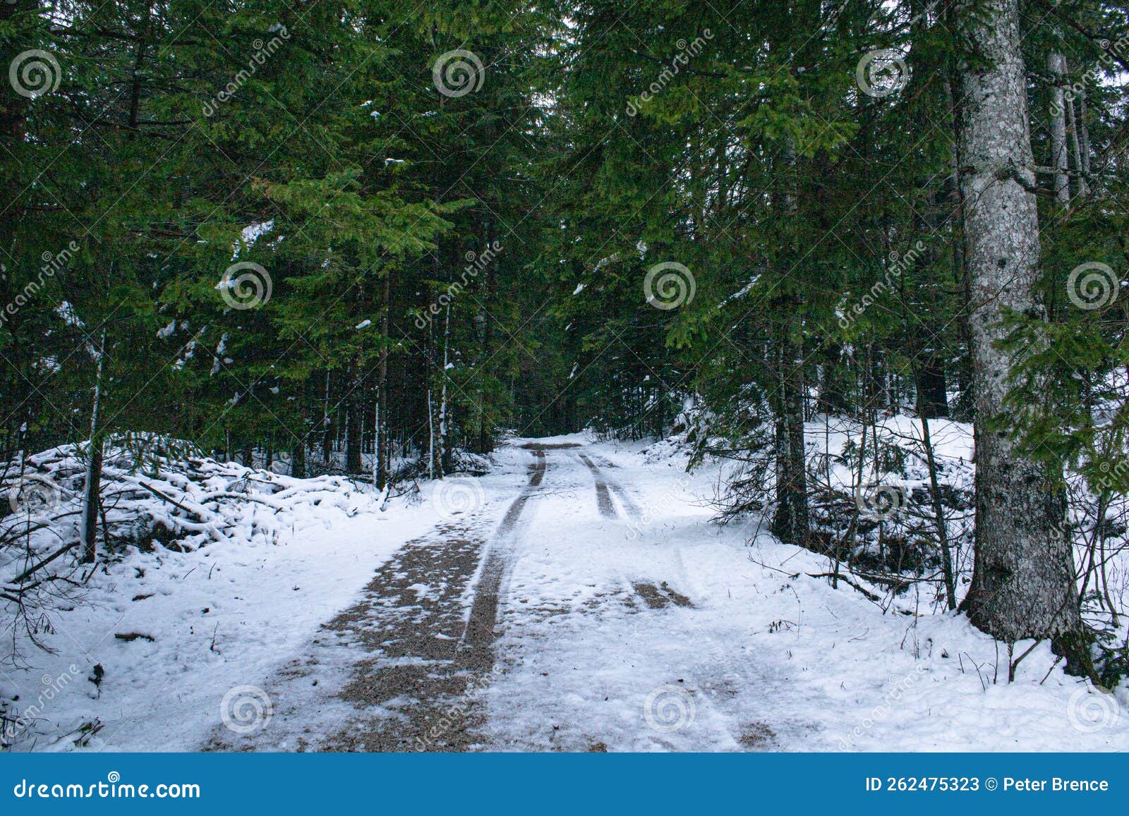 Empty Snow Covered Road in Winter Landscape Stock Image - Image of trip ...