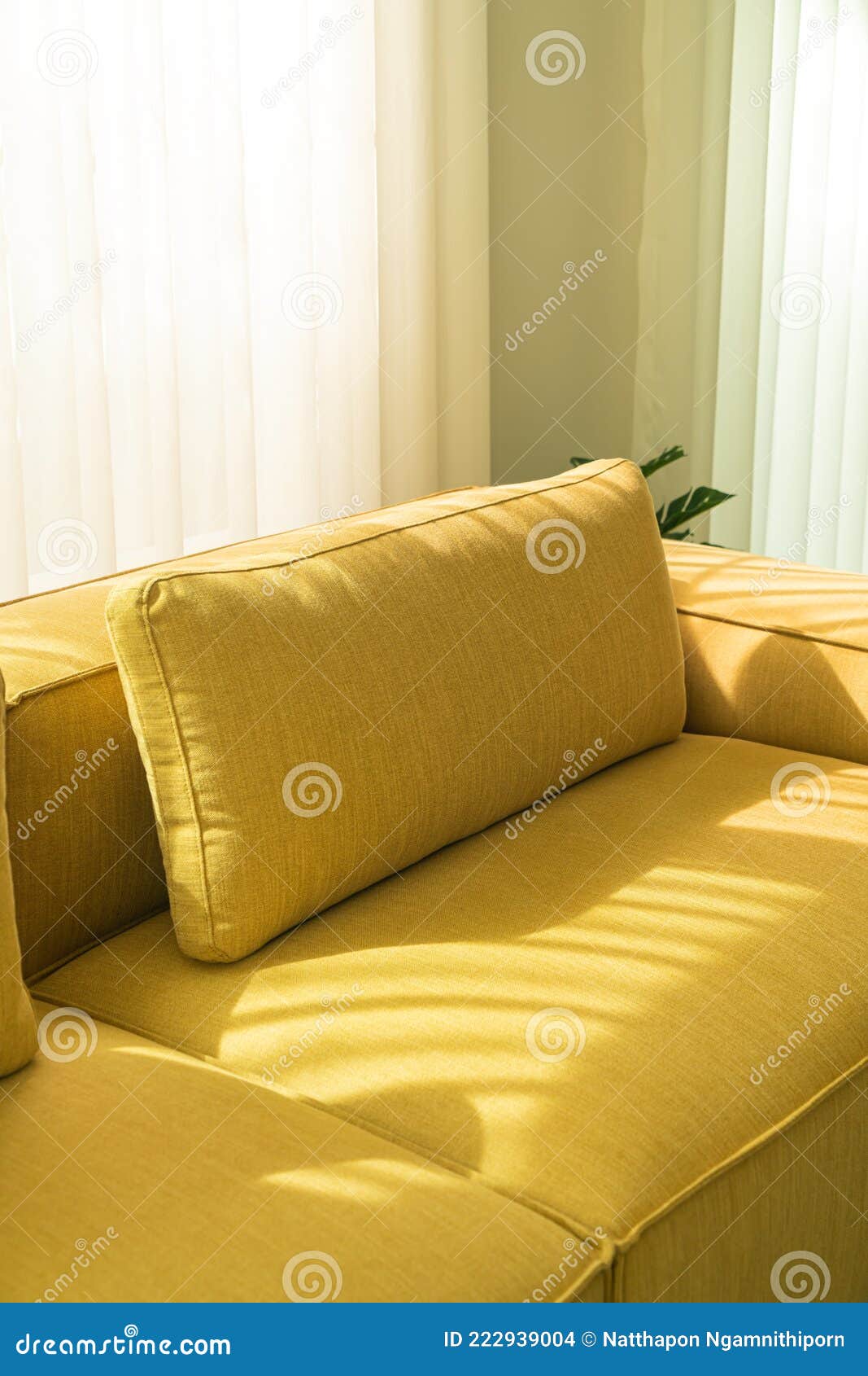 Empty sofa in living room stock photo. Image of apartment - 222939004