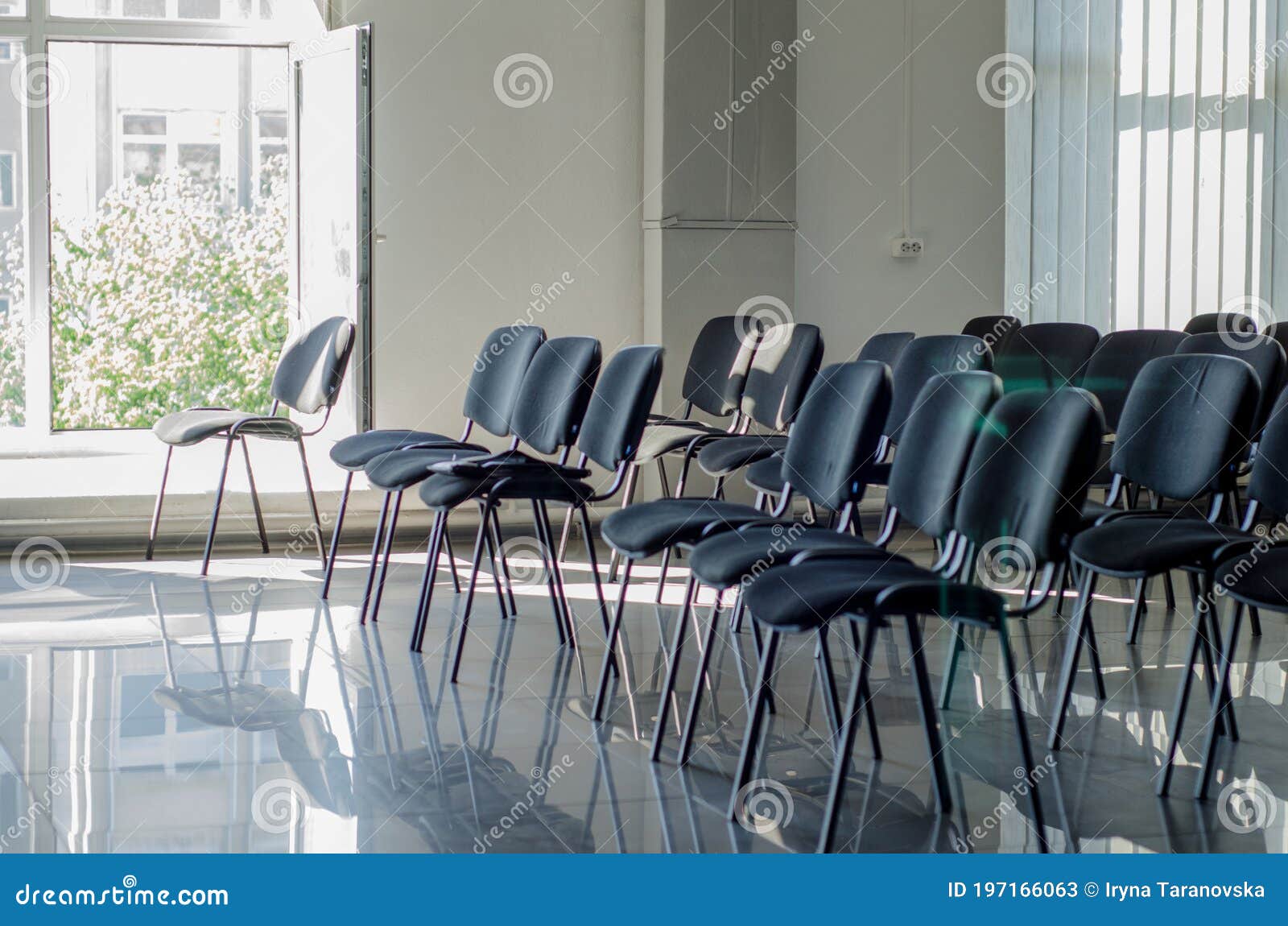 Empty Soft Black Chairs in Large Empty Conference Room, Empty Large ...