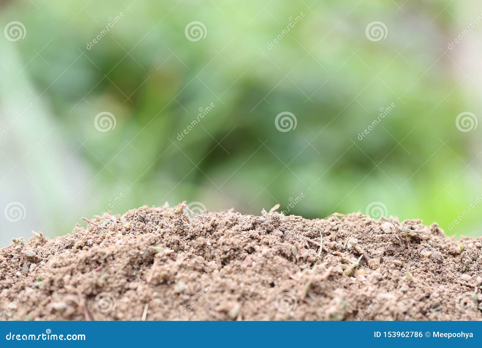 Empty Soil and Blurred Green Background Stock Photo - Image of space ...