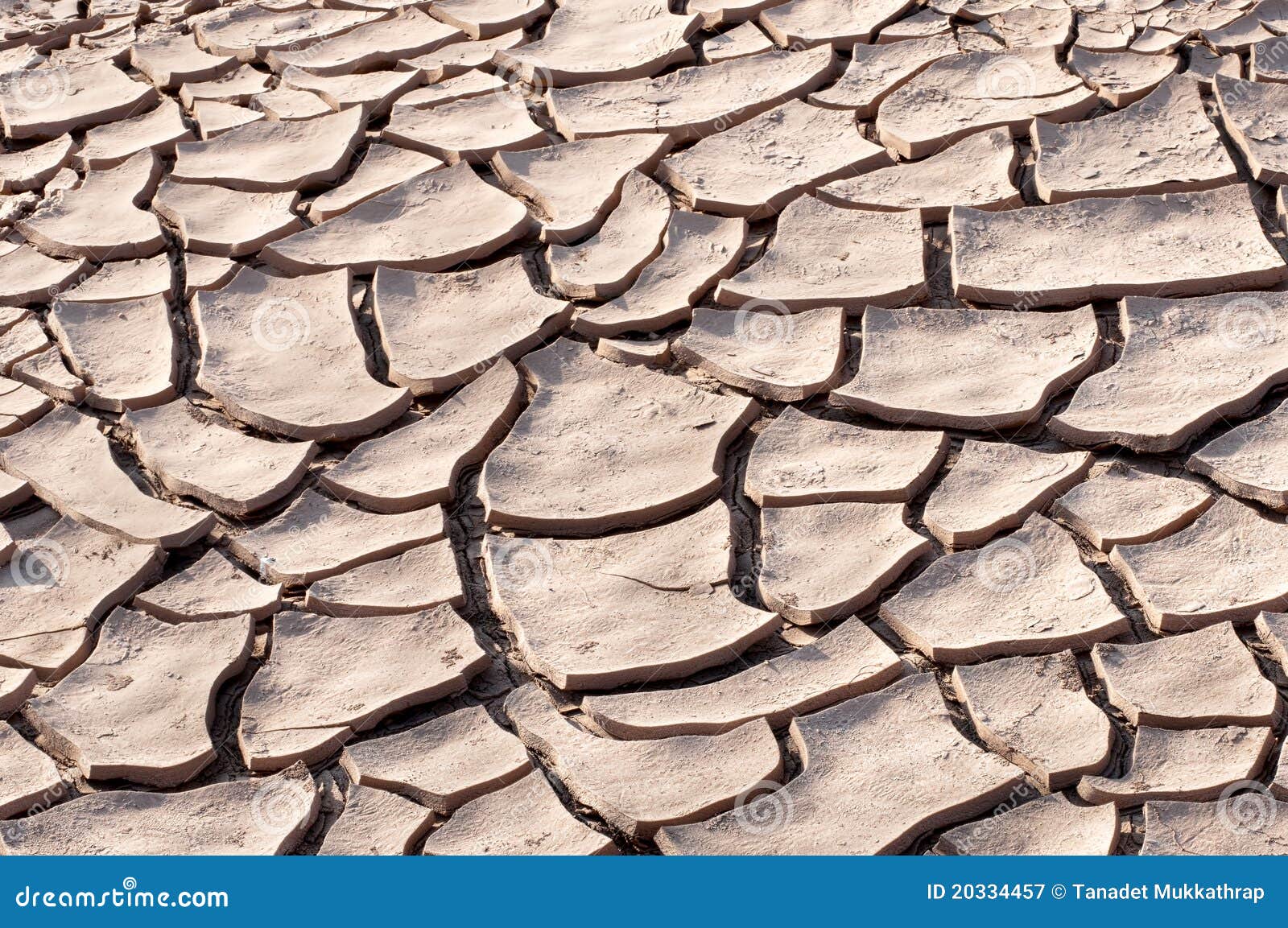Empty soil break stock image. Image of crack, desert - 20334457